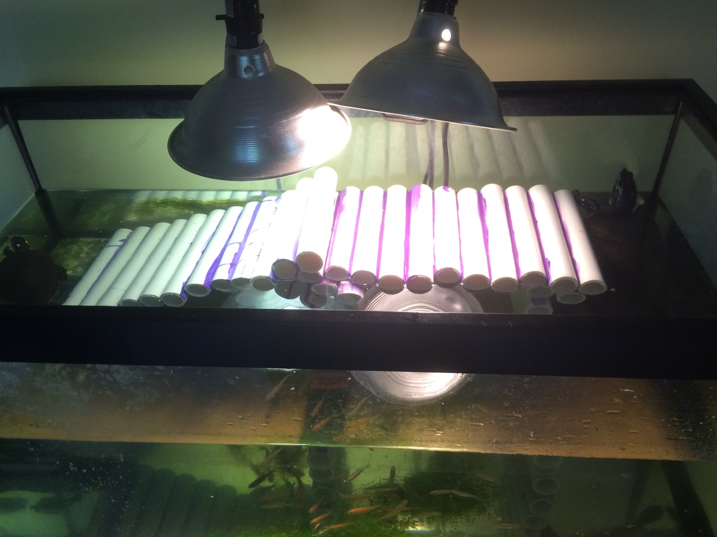 PVC Turtle Dock : 6 Steps - Instructables