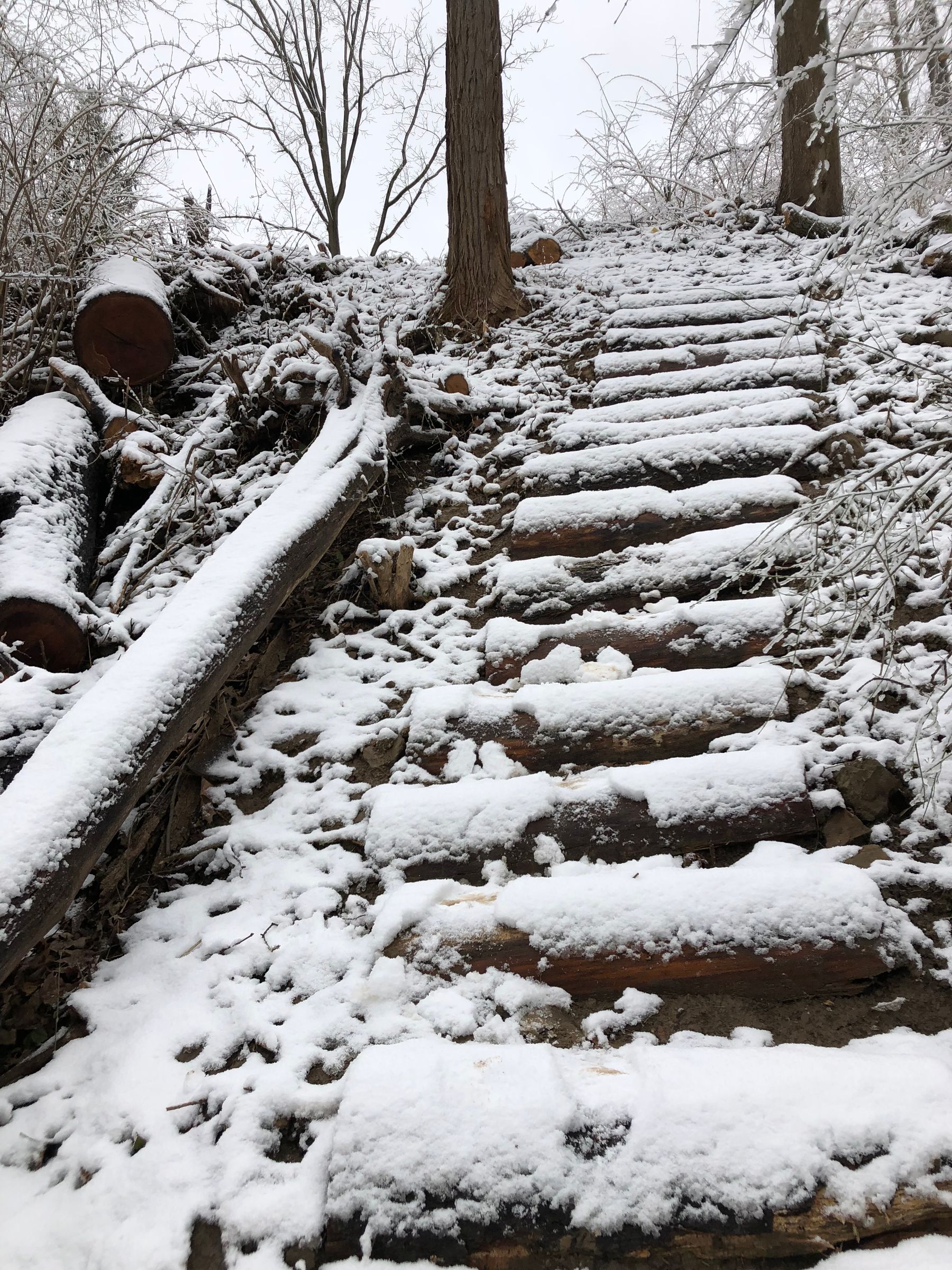 Log Path Cut Into a Hill : 5 Steps (with Pictures) - Instructables