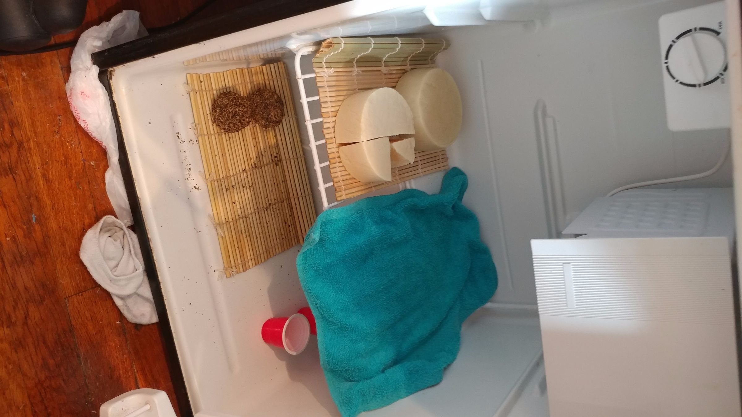 $3 Fridge Shelf : 6 Steps (with Pictures) - Instructables