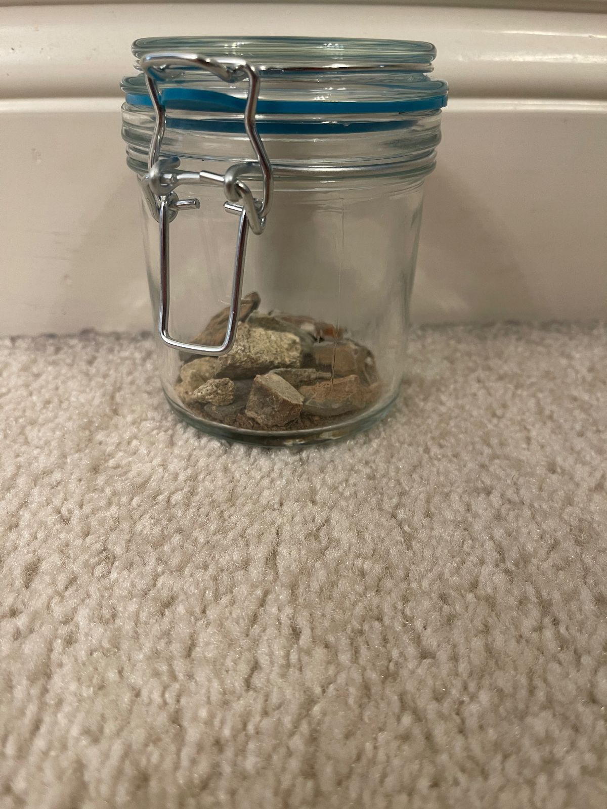 Small Closed Terrarium : 5 Steps (with Pictures) - Instructables