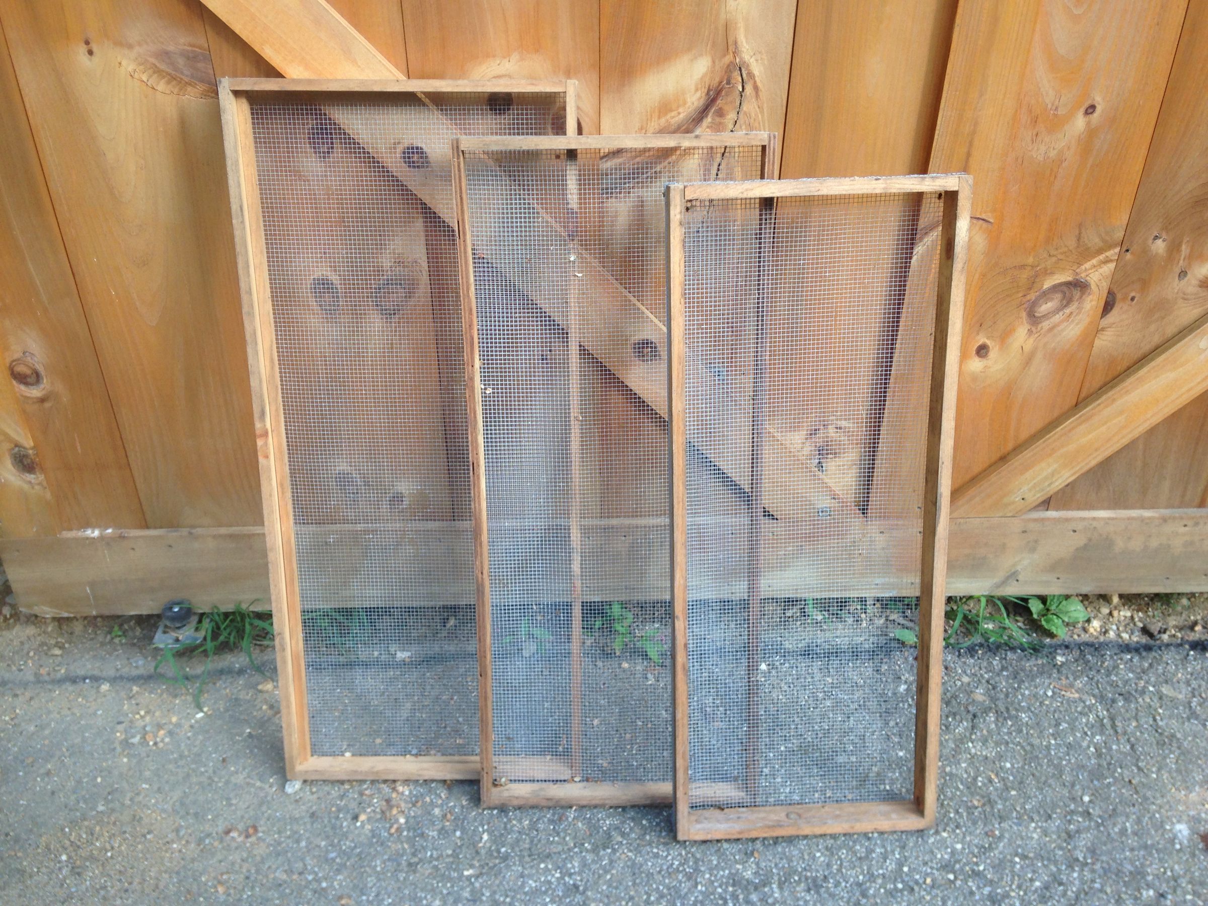 Growing Hops at Home : 9 Steps (with Pictures) - Instructables