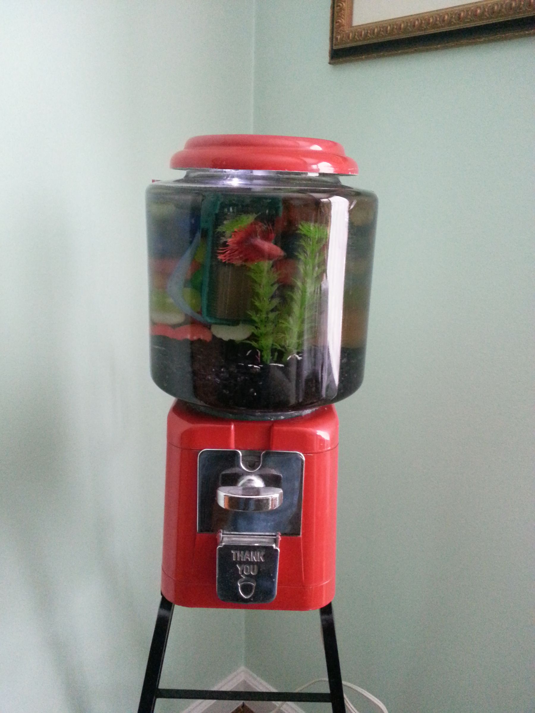 Gumball Machine Fish Tank : 9 Steps (with Pictures) - Instructables