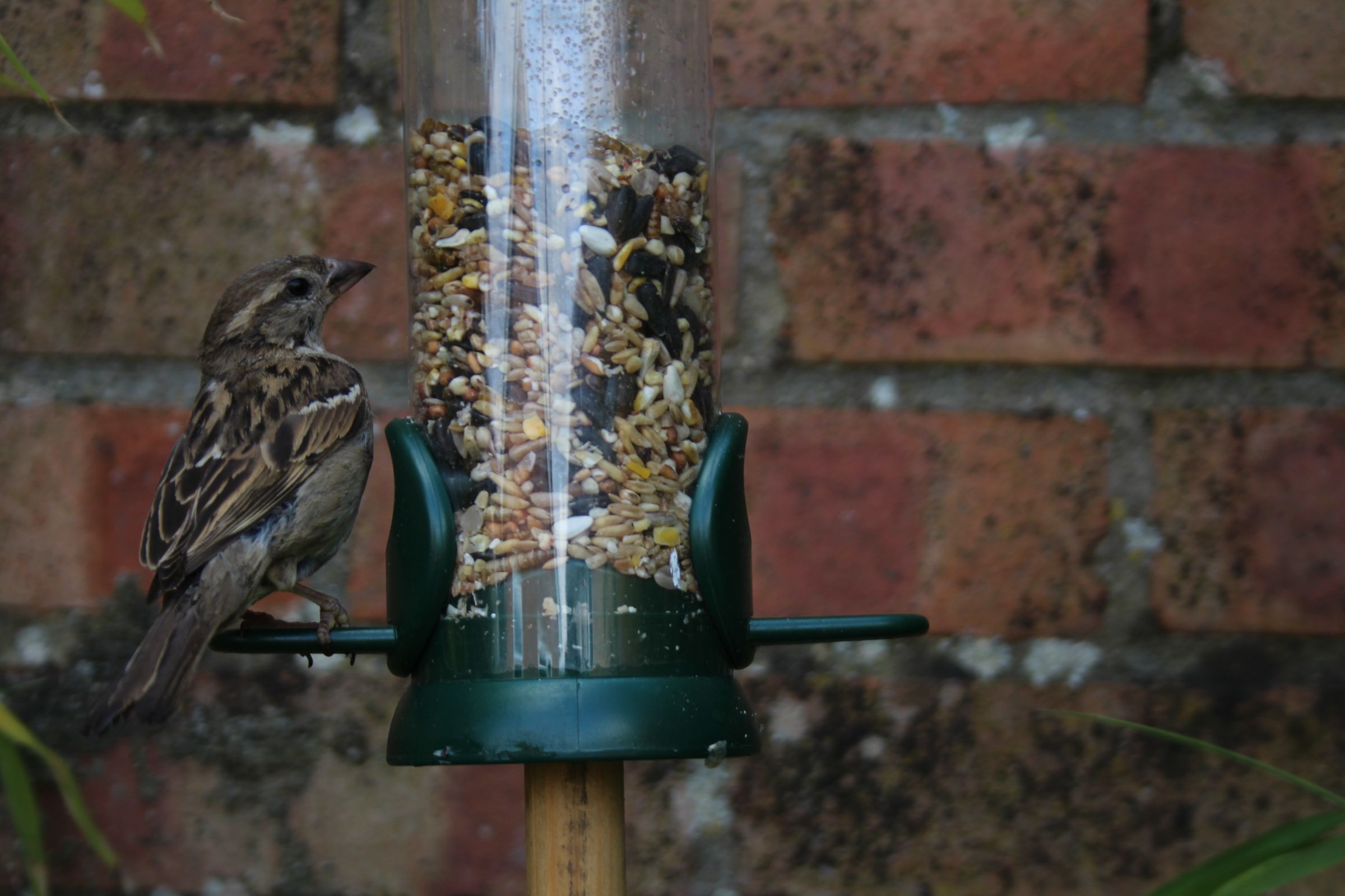 Passive IR to IR Canon Trigger : 5 Steps (with Pictures) - Instructables