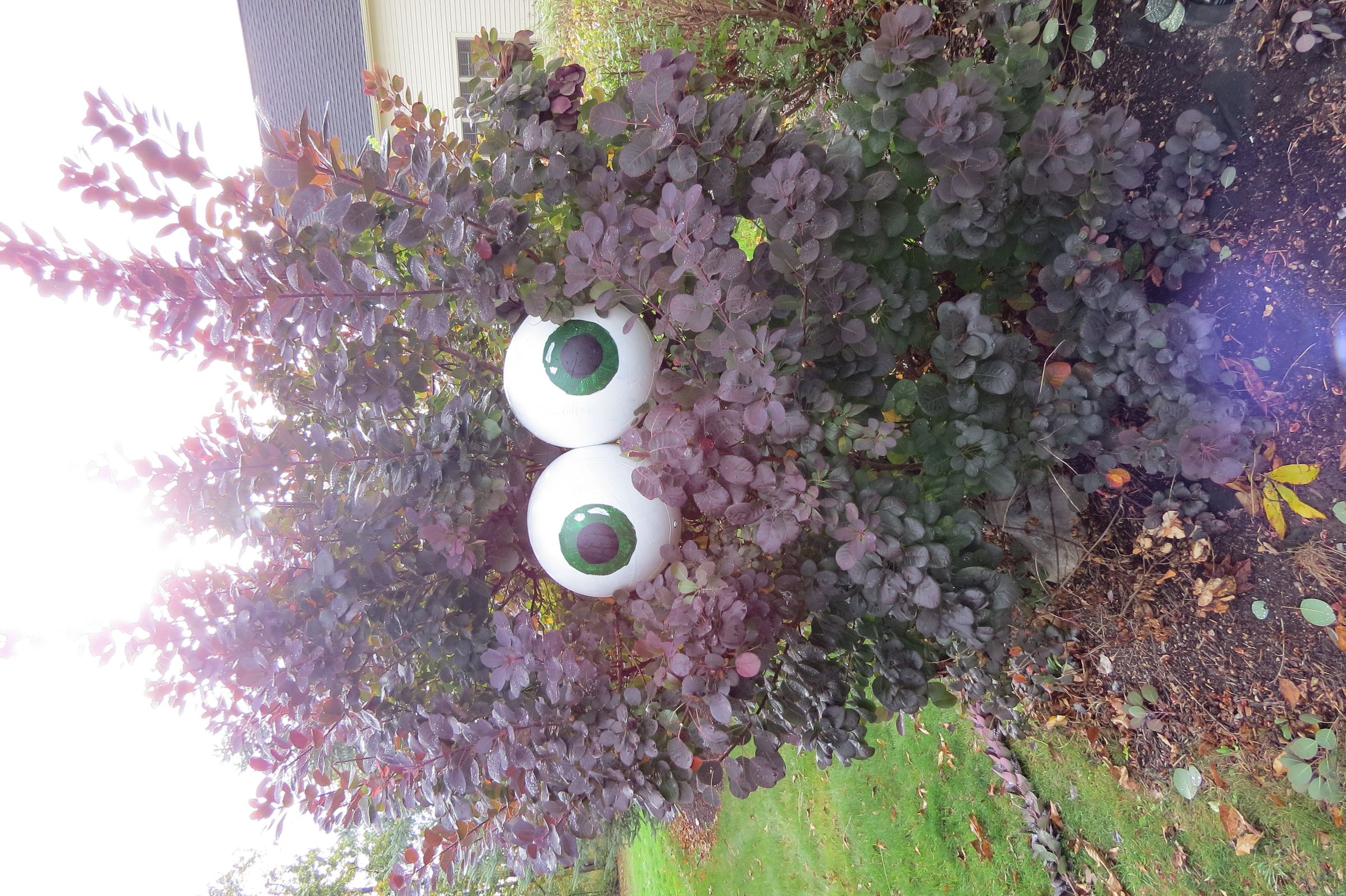 Giant Eyeball Decor : 6 Steps (with Pictures) - Instructables