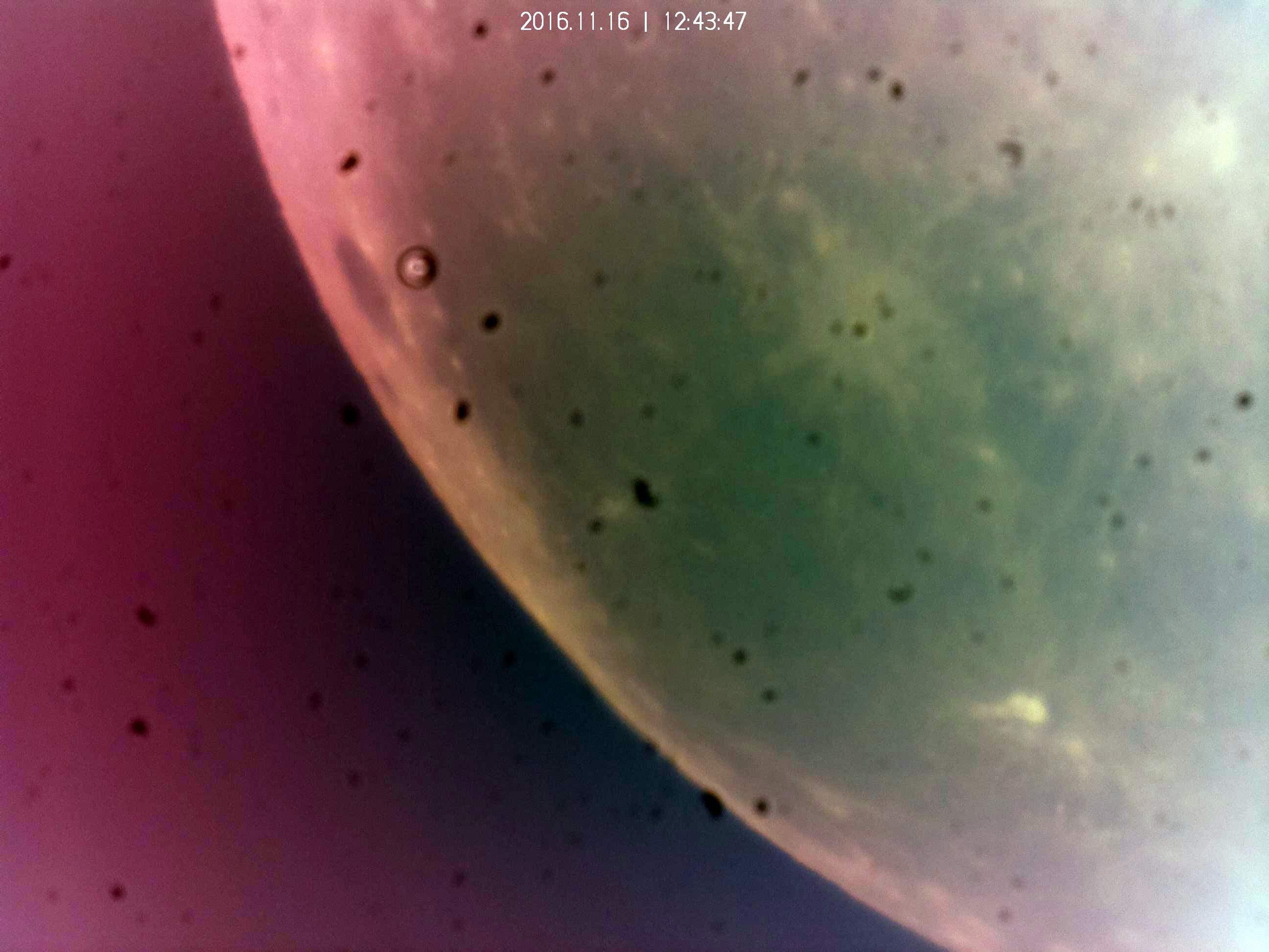 Astrophotography With the Raspberry Pi Zero. : 11 Steps (with Pictures) - Instructables