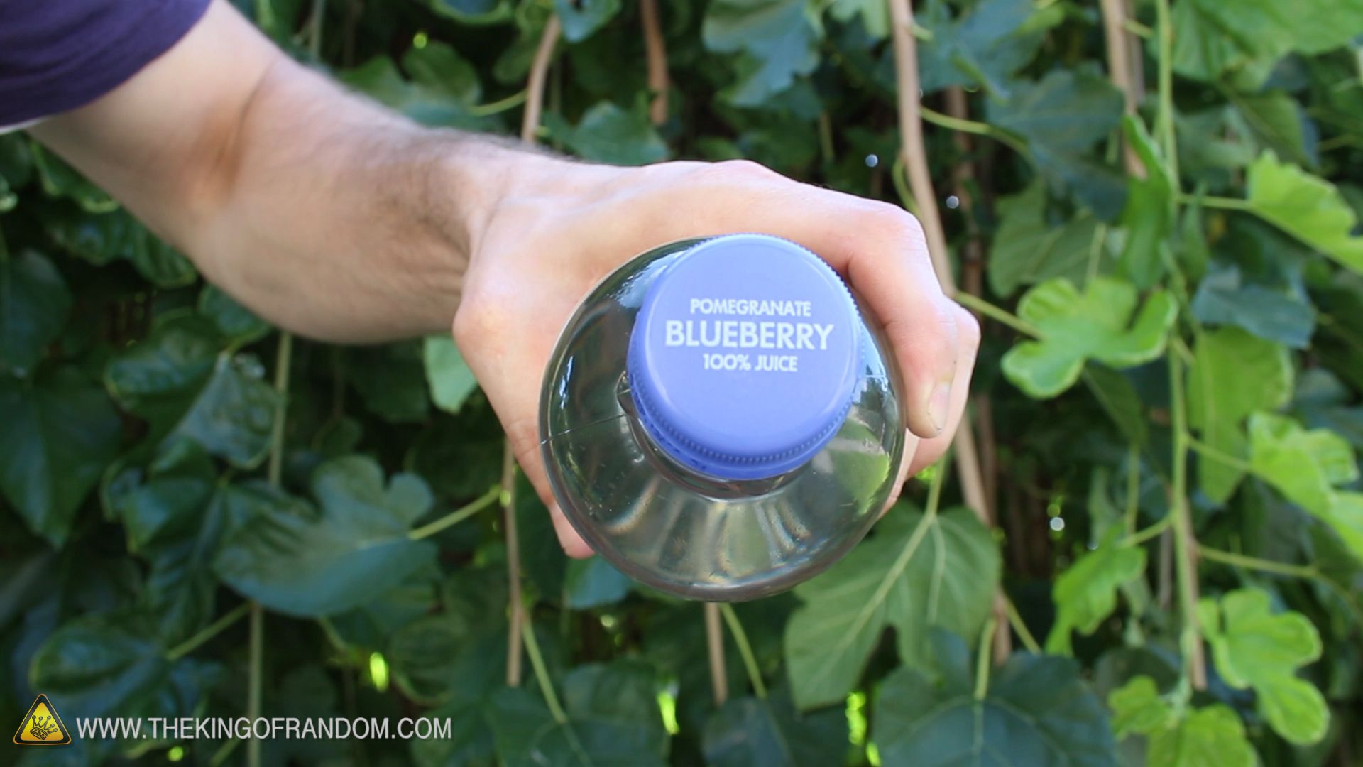 5 Ways to Start a Fire, Using Water : 7 Steps (with Pictures ...