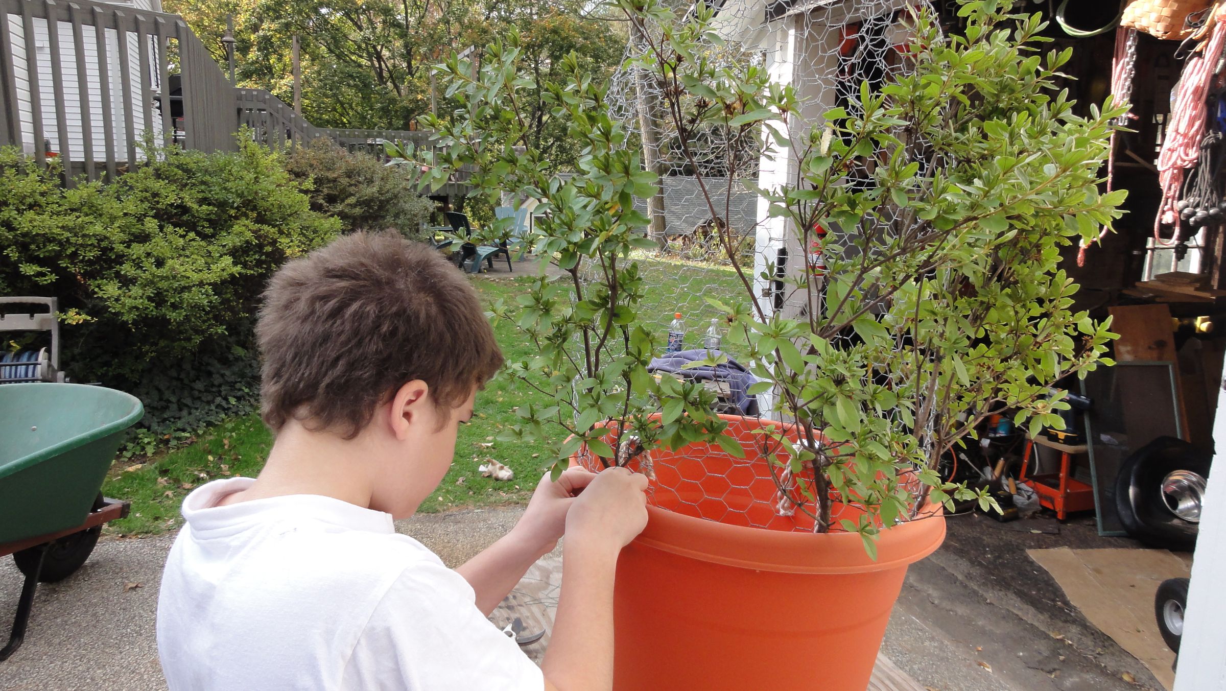 Shrub (Bush, Plant) Costume : 3 Steps (with Pictures) - Instructables