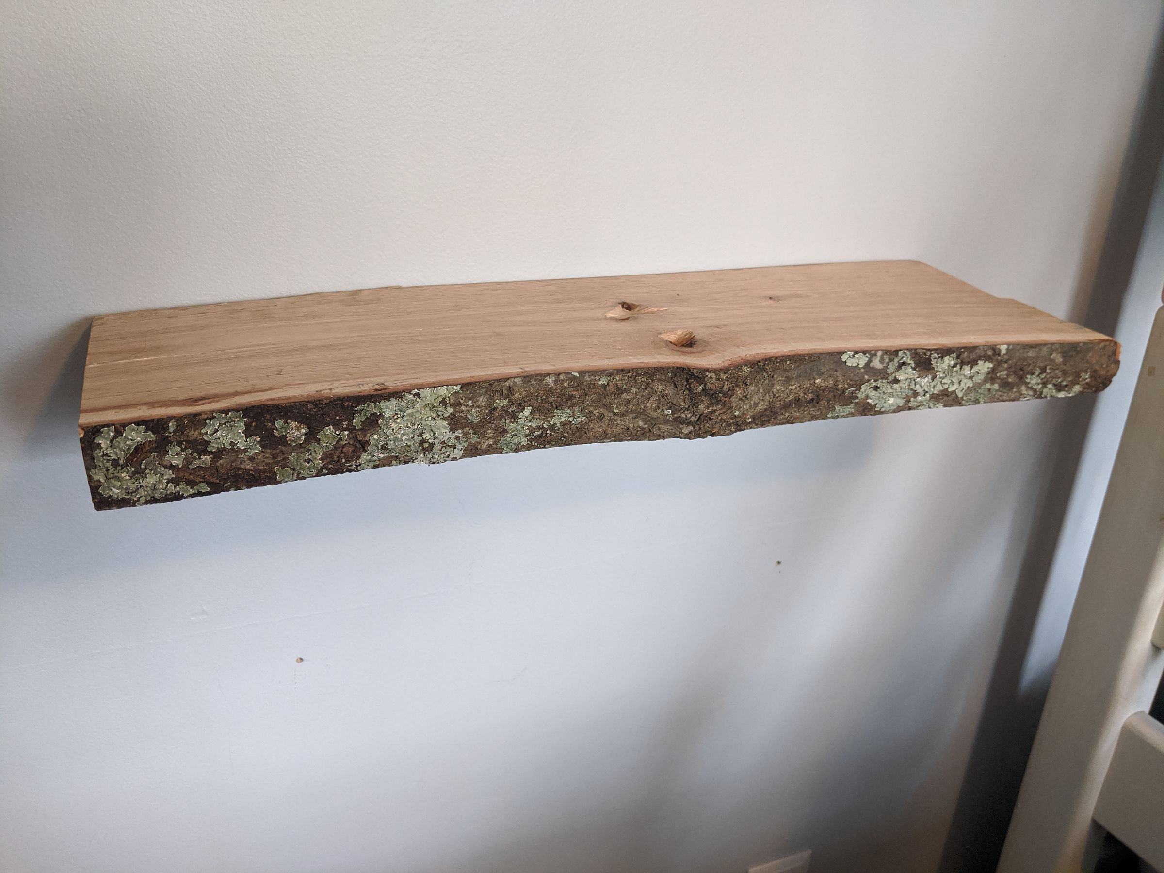 Live Edge Floating Shelf... From Scratch : 14 Steps (with Pictures ...