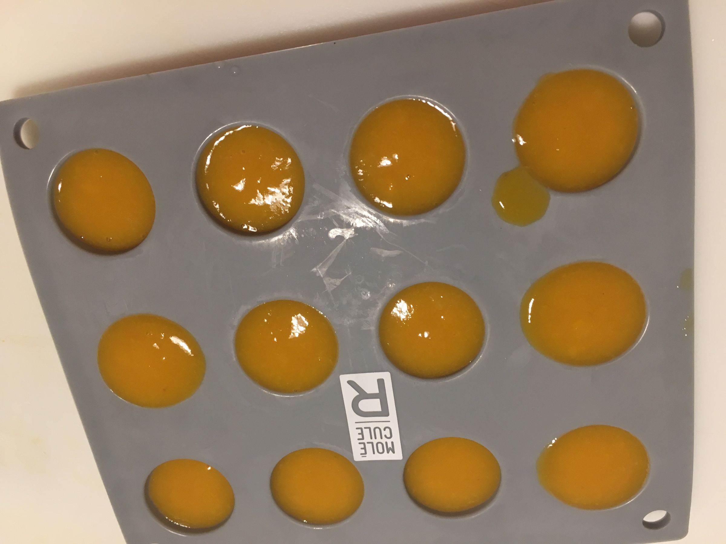 Treasures of Melting Ice : 6 Steps (with Pictures) - Instructables