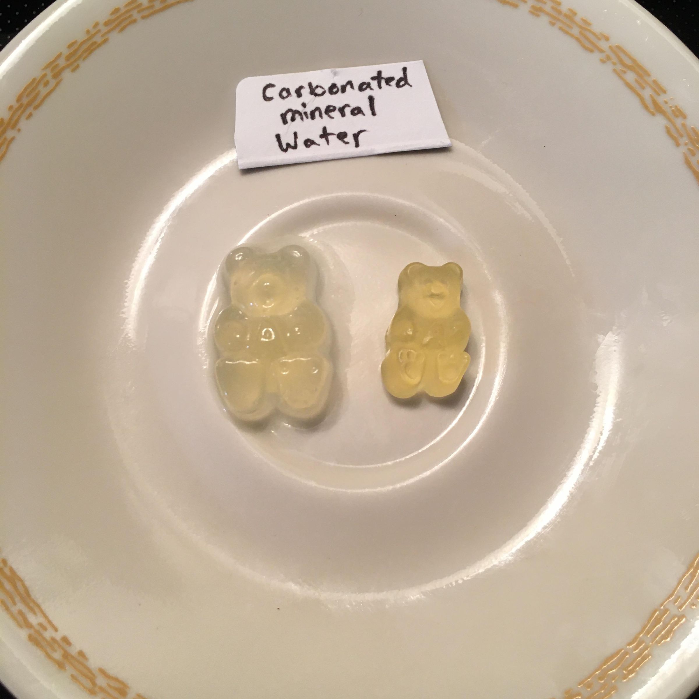 Gummi Bear Science : 7 Steps (with Pictures) - Instructables