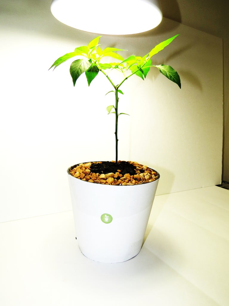 The Plant Pot Basic 4 Steps Instructables the-plant-pot-basic-4-steps-instructables