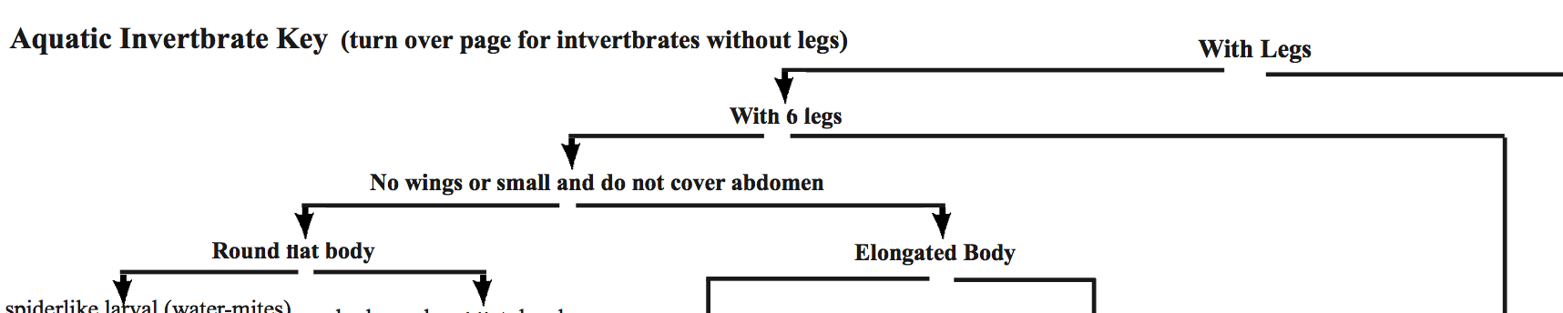 Key for Classifying Aquatic Invertebrates : 5 Steps - Instructables