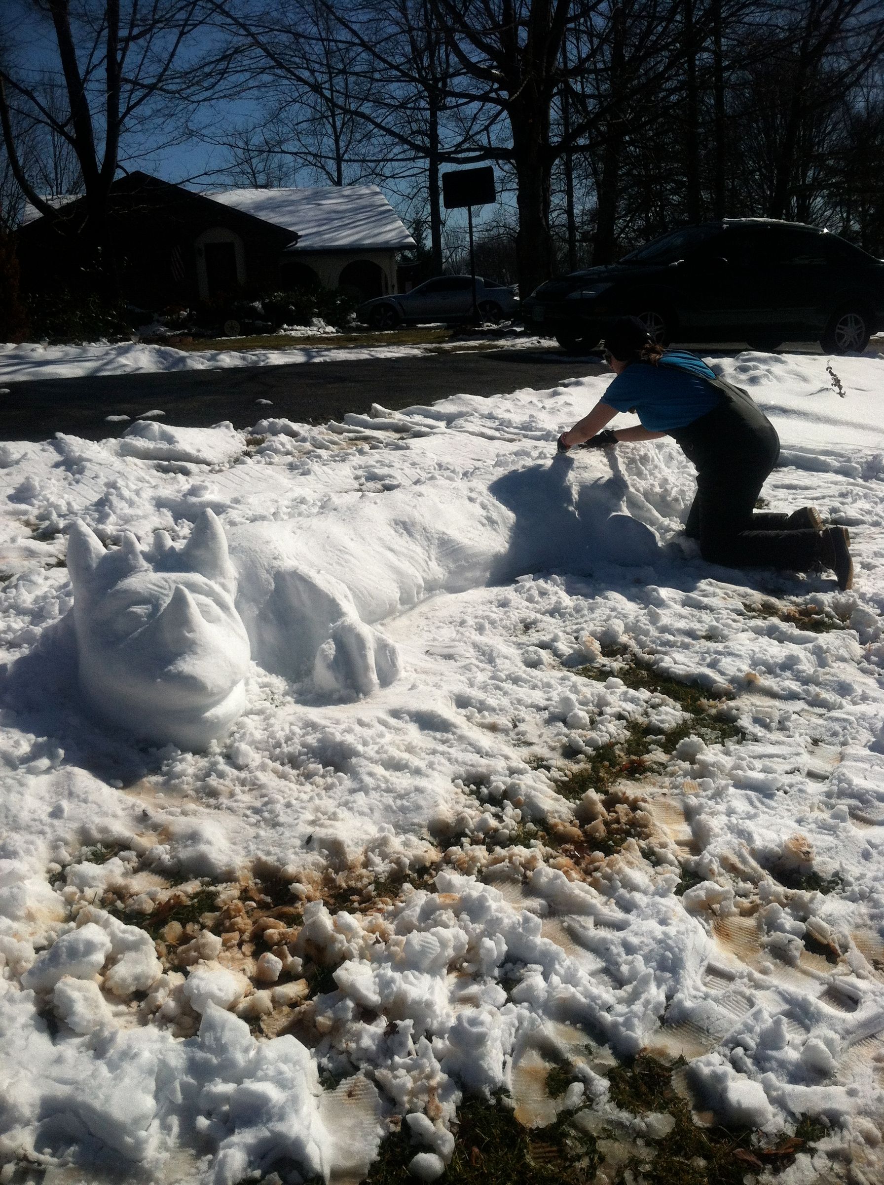 How to Create a Colorful Snow Dragon : 3 Steps - Instructables