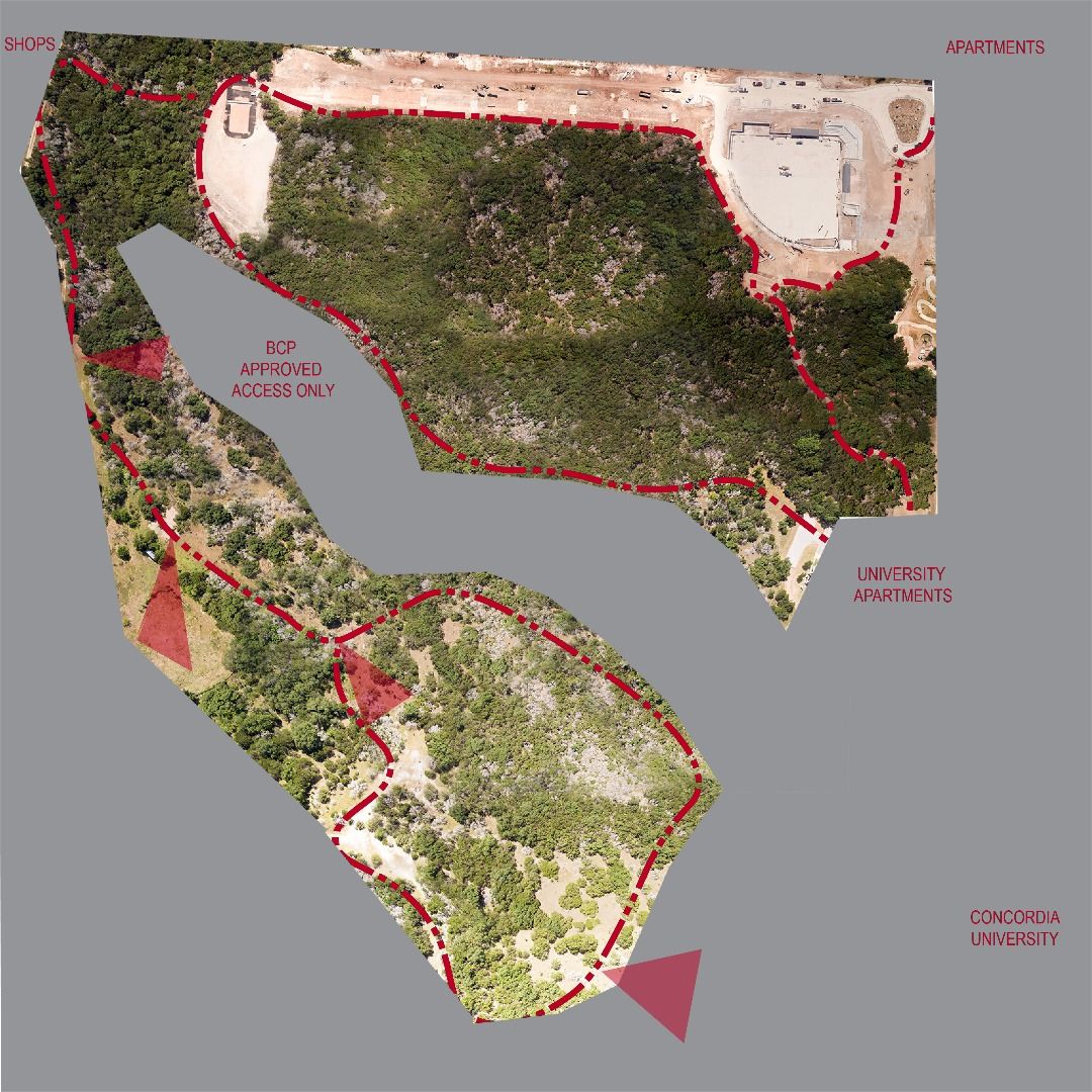 How to Design and Build a Trail : 8 Steps (with Pictures) - Instructables