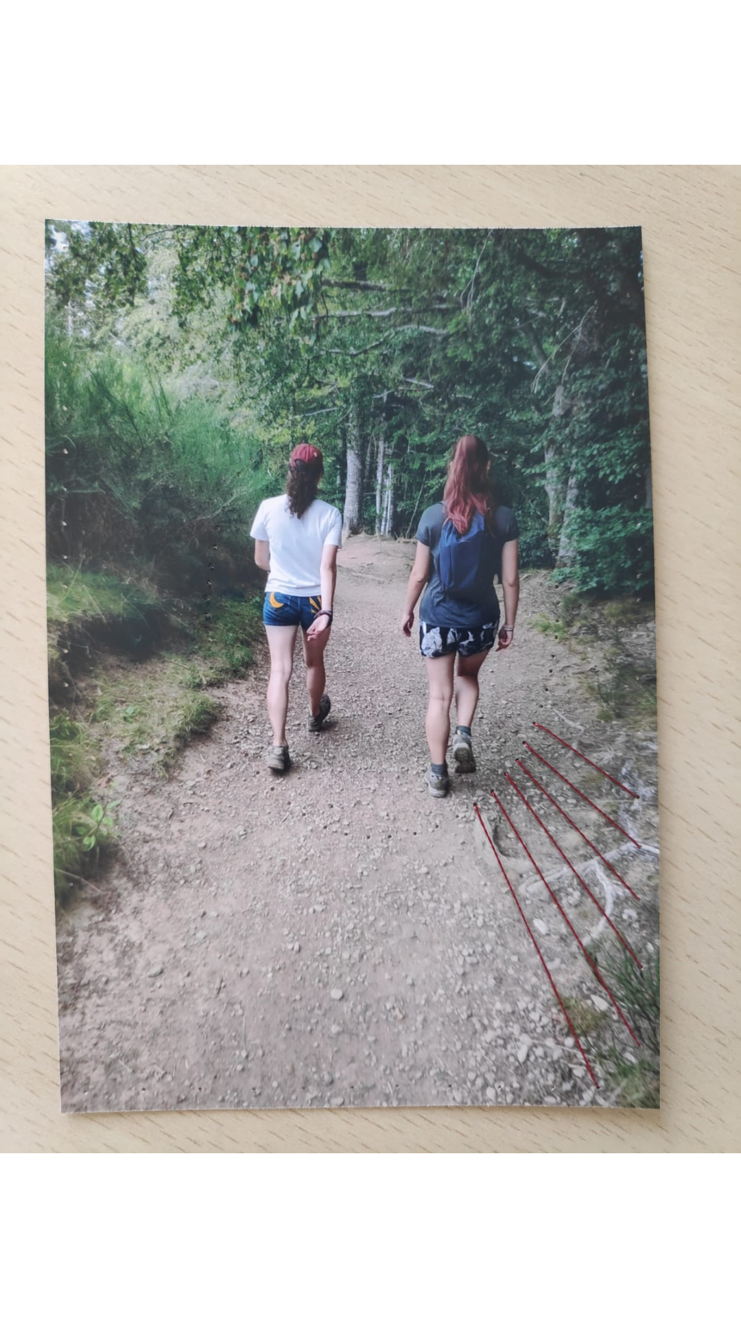 How to Customize a Photo With Embroidery : 4 Steps (with Pictures ...