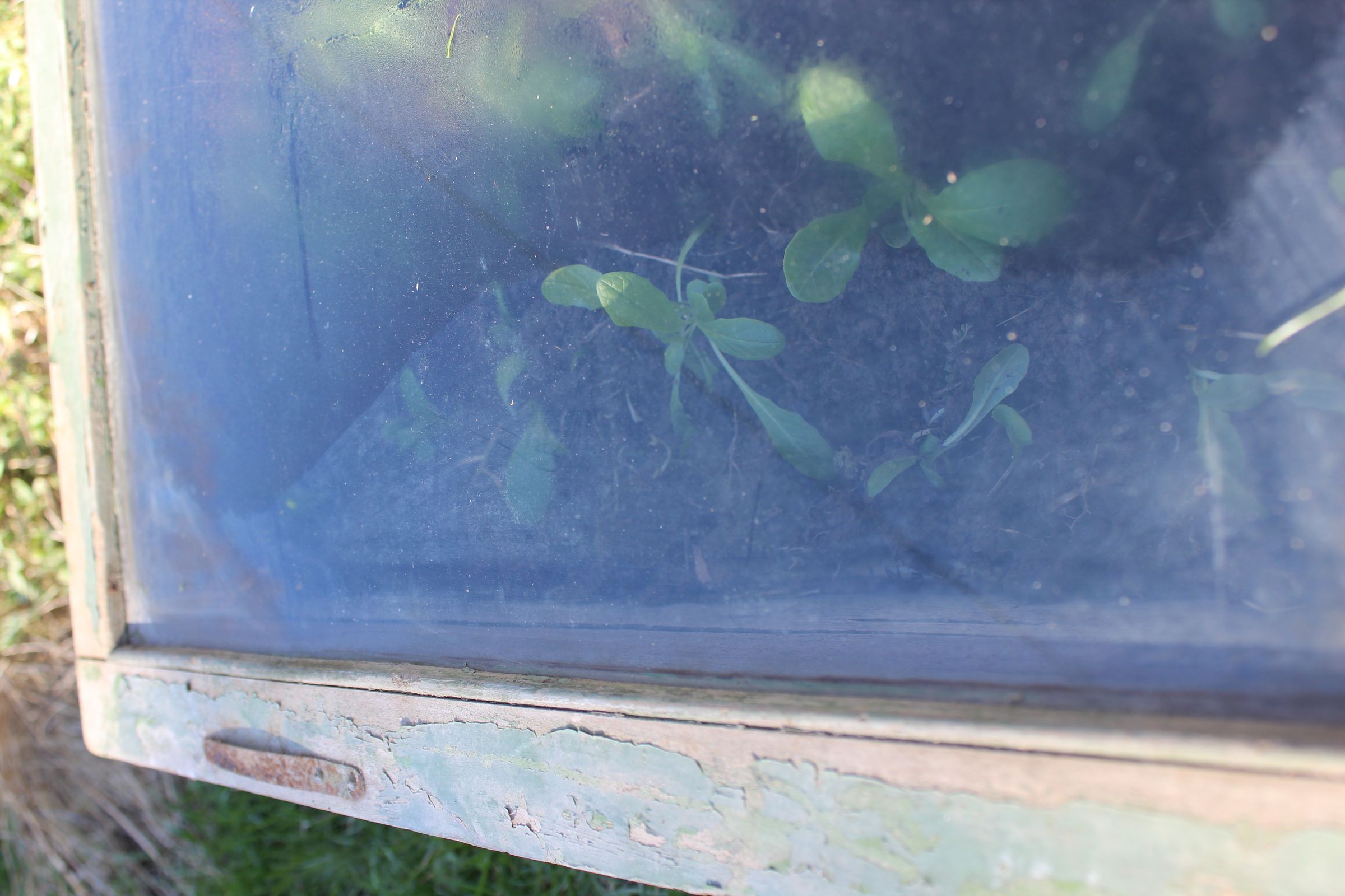 How to Recycle Old Windows Into Small Greenhouses : 5 Steps - Instructables