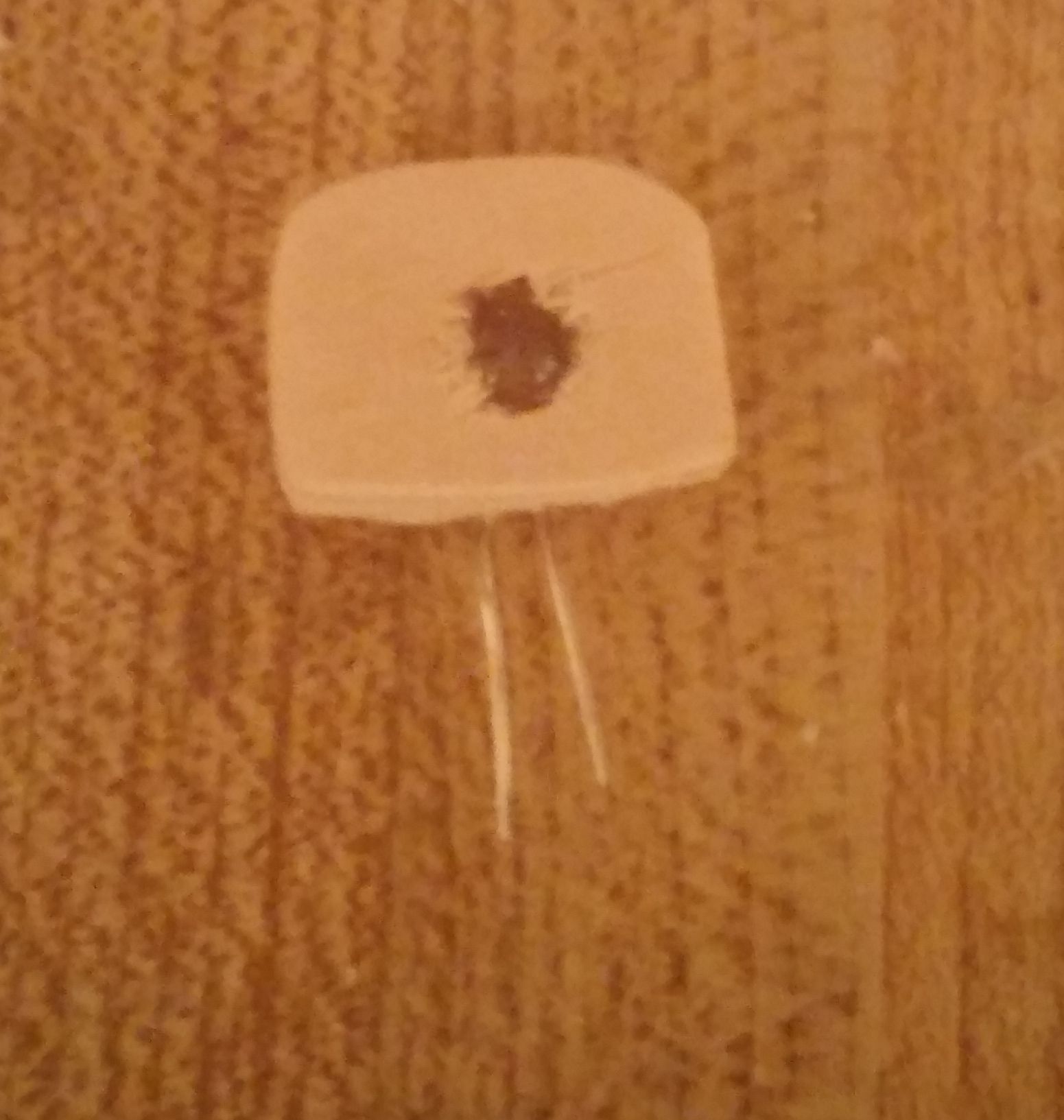 Half-moon Clock With Arduino : 5 Steps (with Pictures) - Instructables