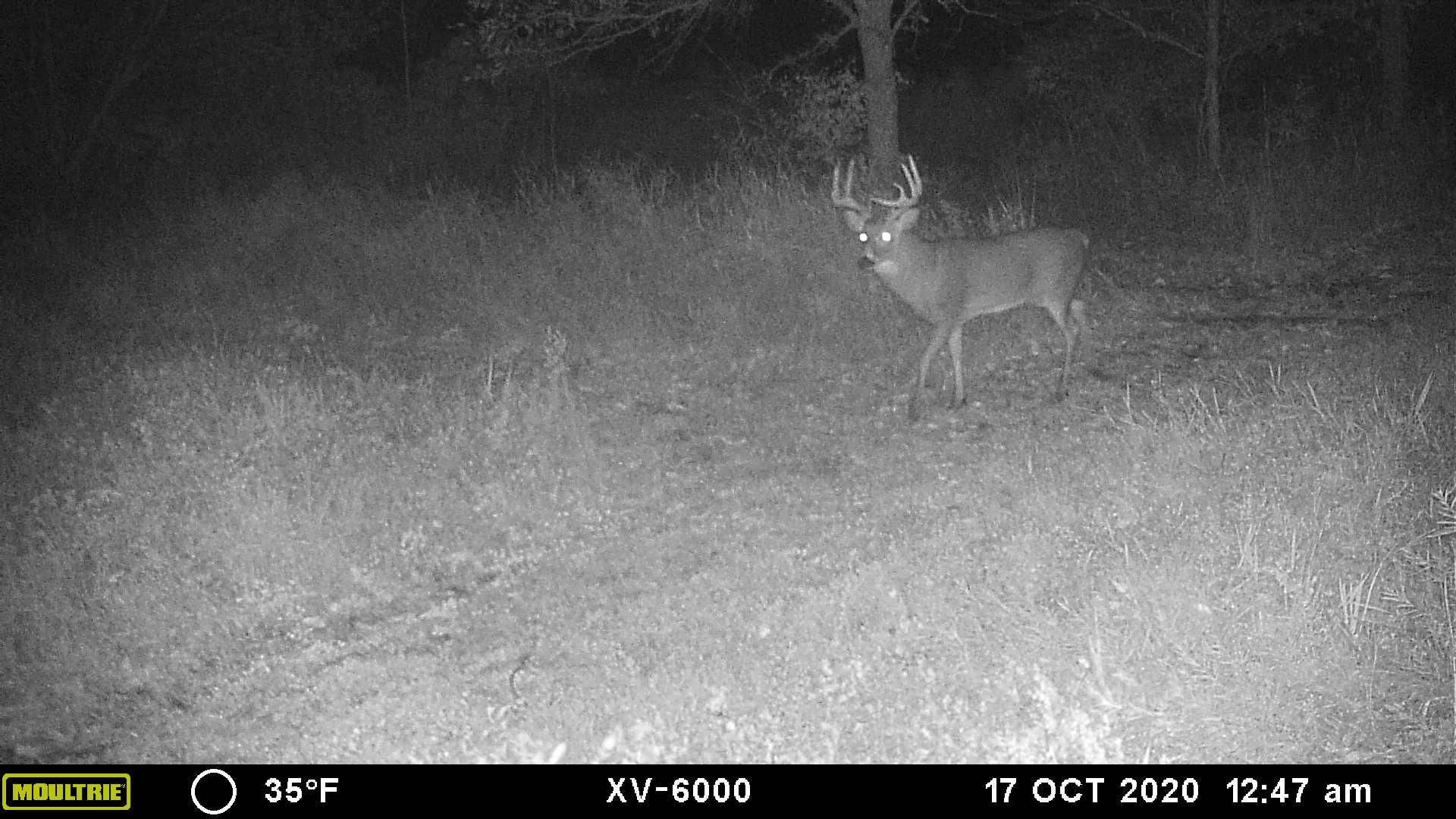 DIY Trail Cam Battery Pack : 8 Steps - Instructables