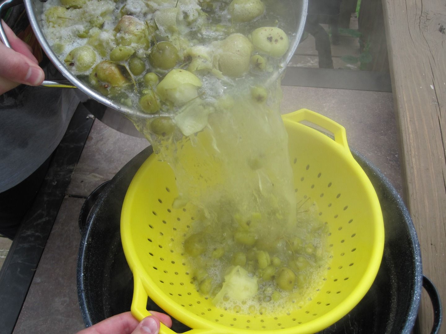 Homemade Pectin : 6 Steps (with Pictures) - Instructables