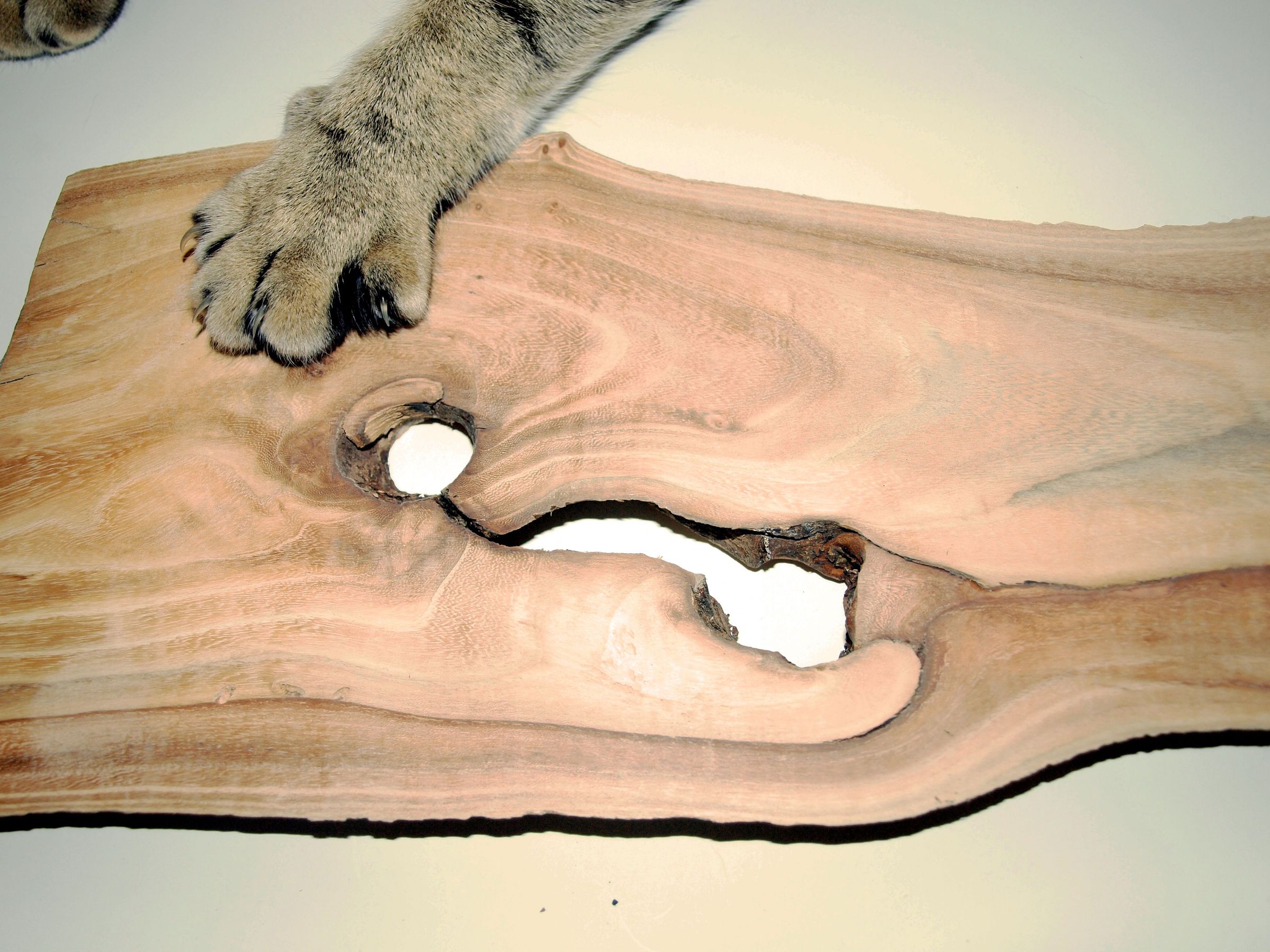 Gnarly Wood Projects With Weird Wood, Broken Glass, LED's and Epoxy ...