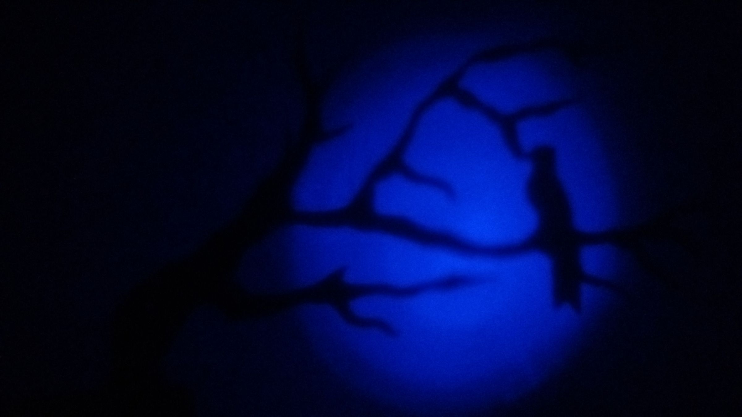 Wall Projections From Paper : 5 Steps (with Pictures) - Instructables