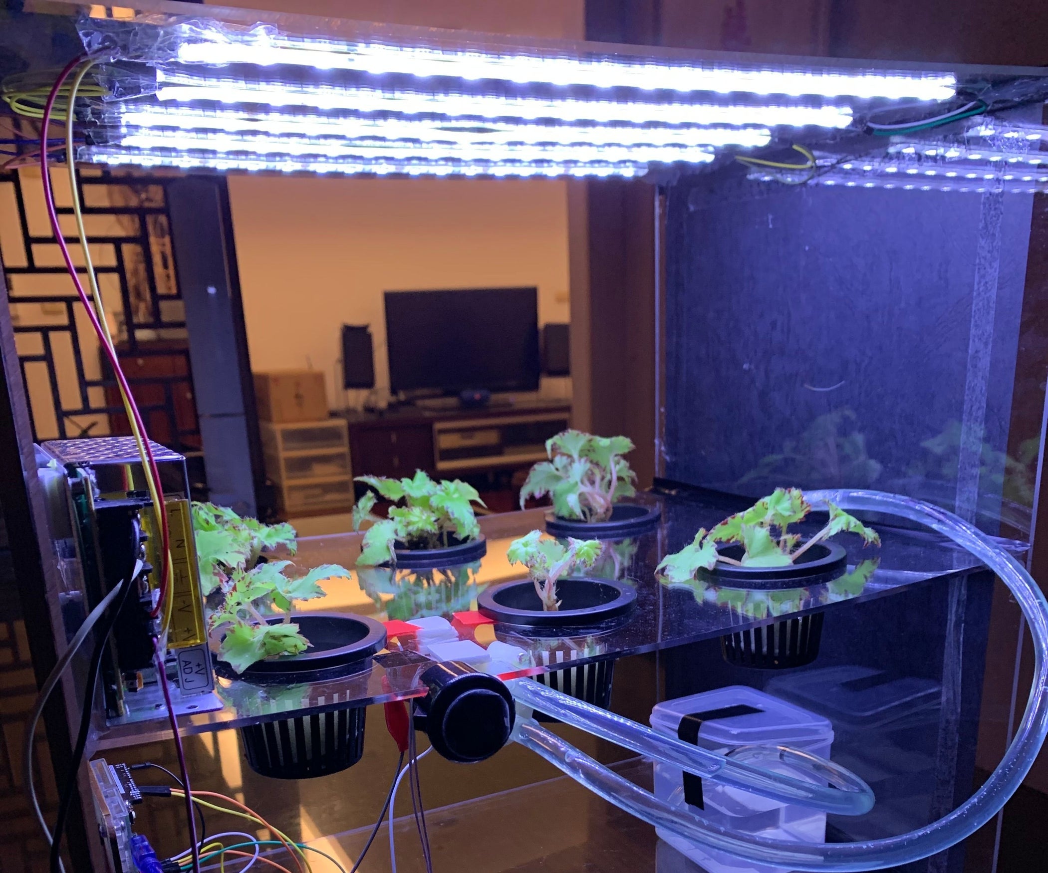 Indoor Planter Machine : 6 Steps - Instructables