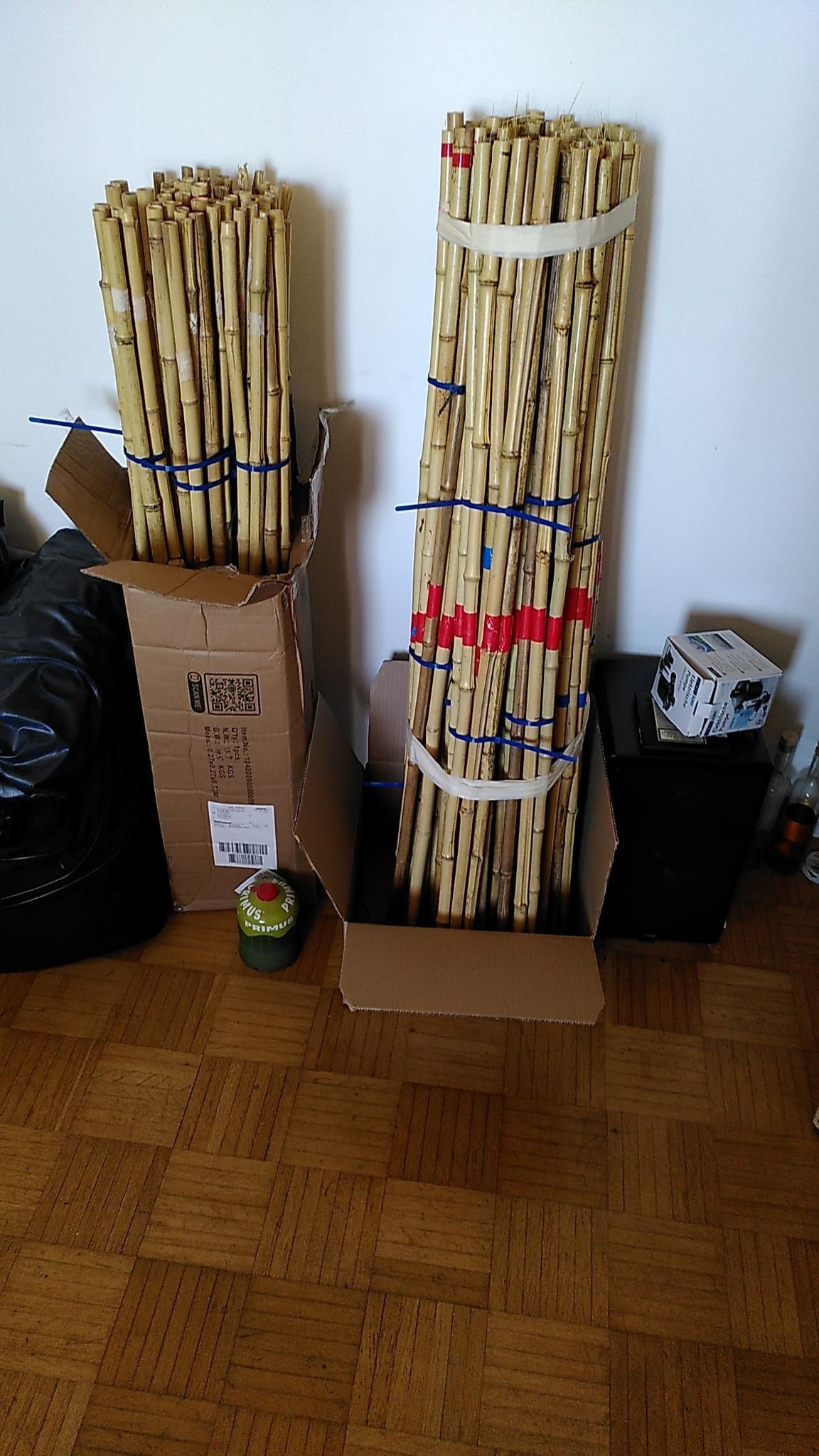 Bamboo Dome : 4 Steps (with Pictures) - Instructables