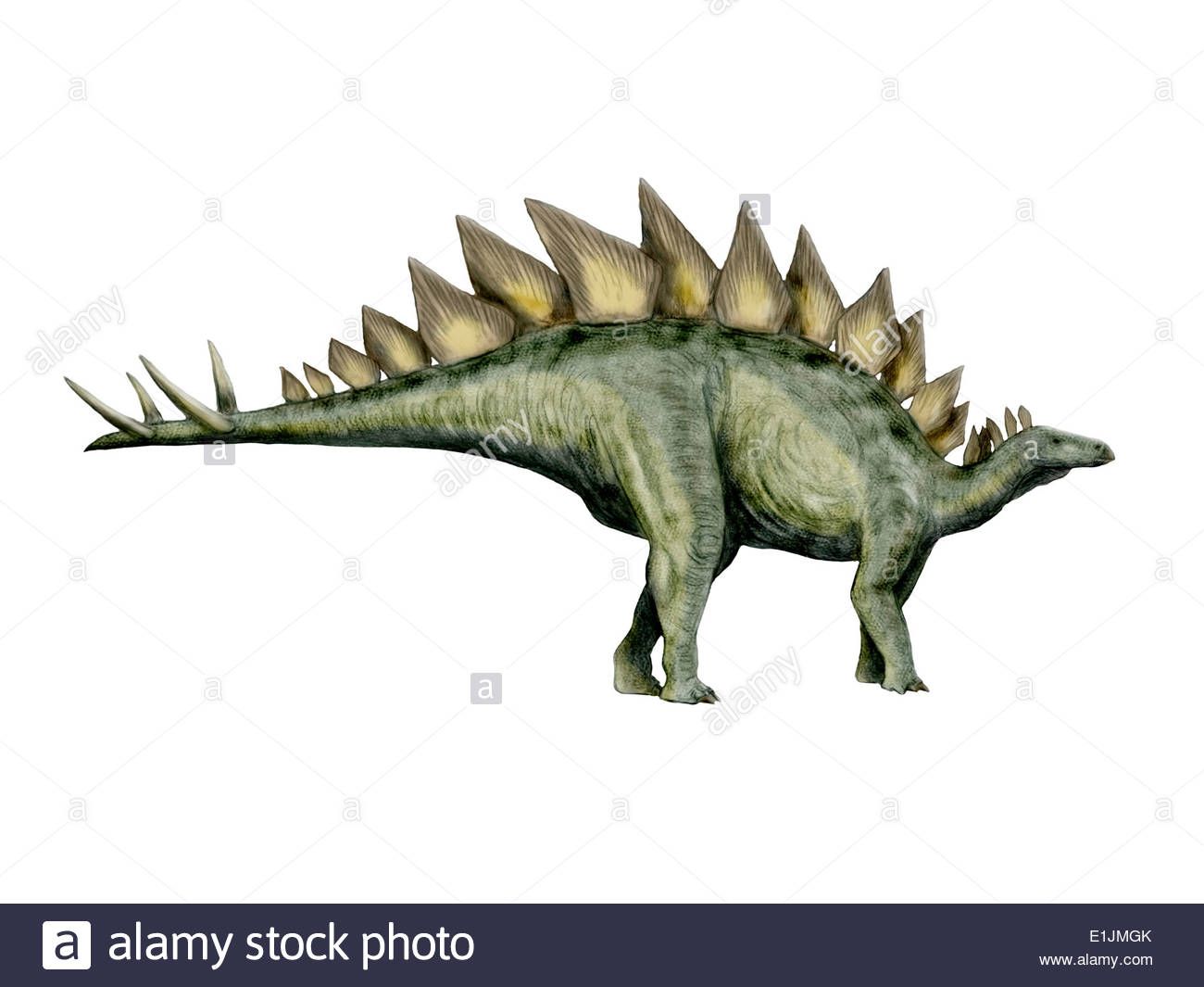 How to Make a Toy Dinosaur by Zachary : 12 Steps (with Pictures ...