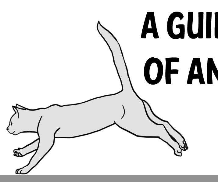 A Guide to the Basics of Animal Animation : 5 Steps - Instructables