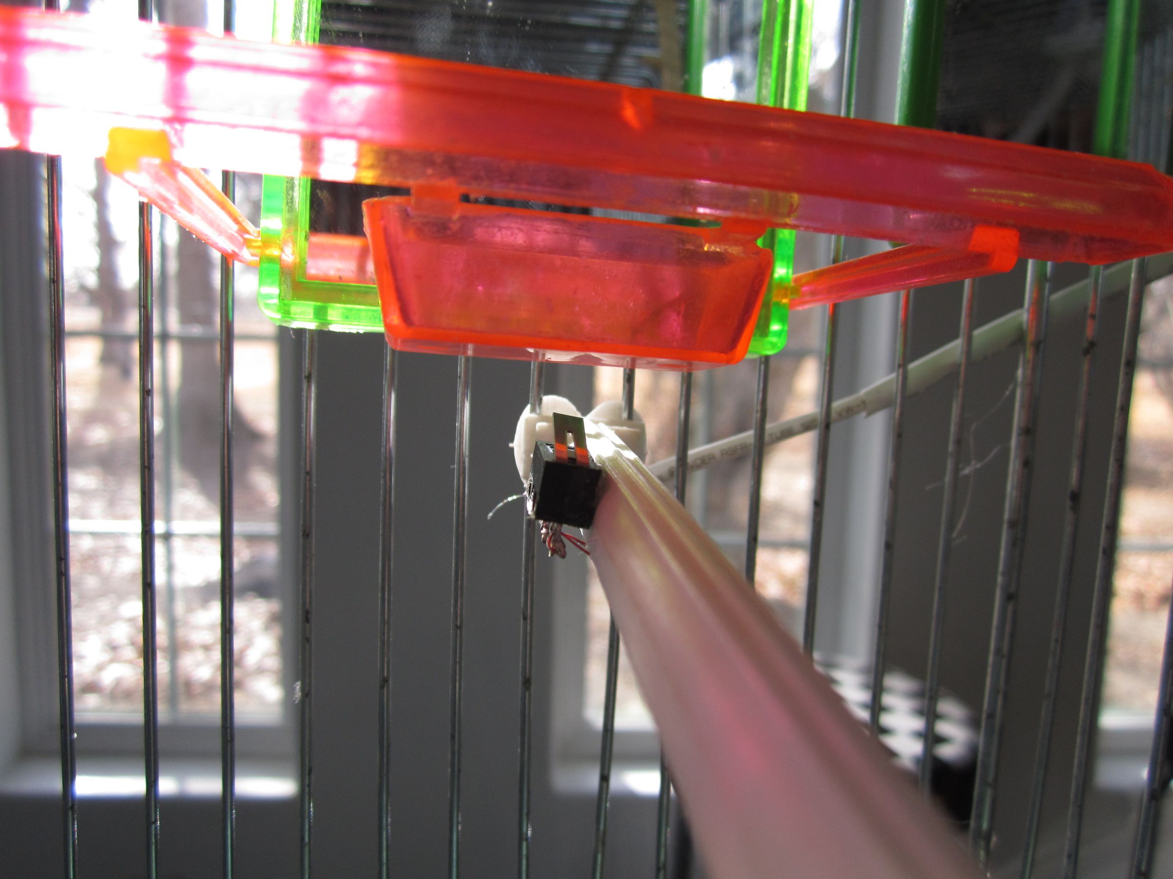 LED Color Changing Bird Toy! : 8 Steps - Instructables