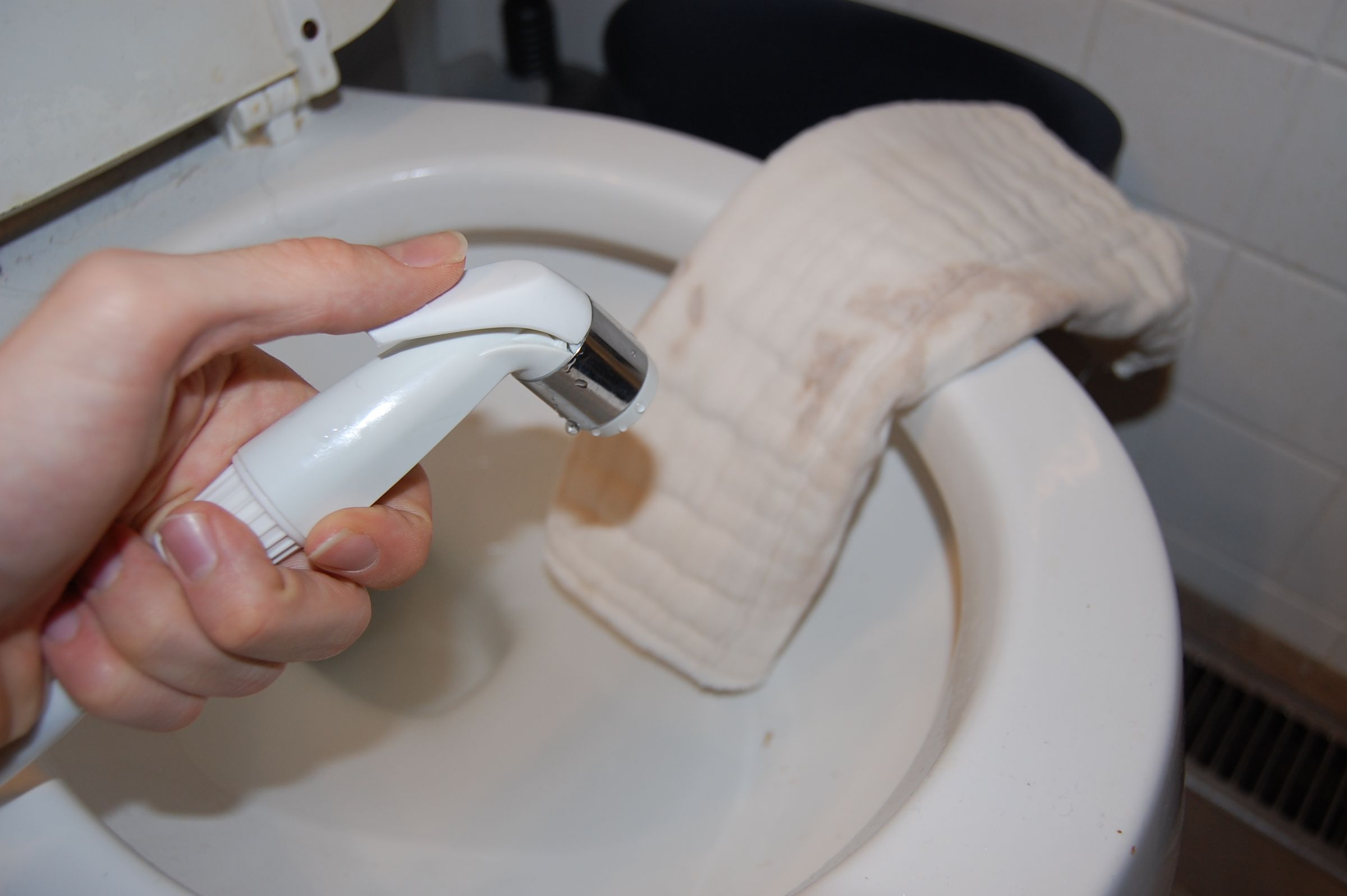 Add a Shower to Your Toilet : 4 Steps (with Pictures) - Instructables