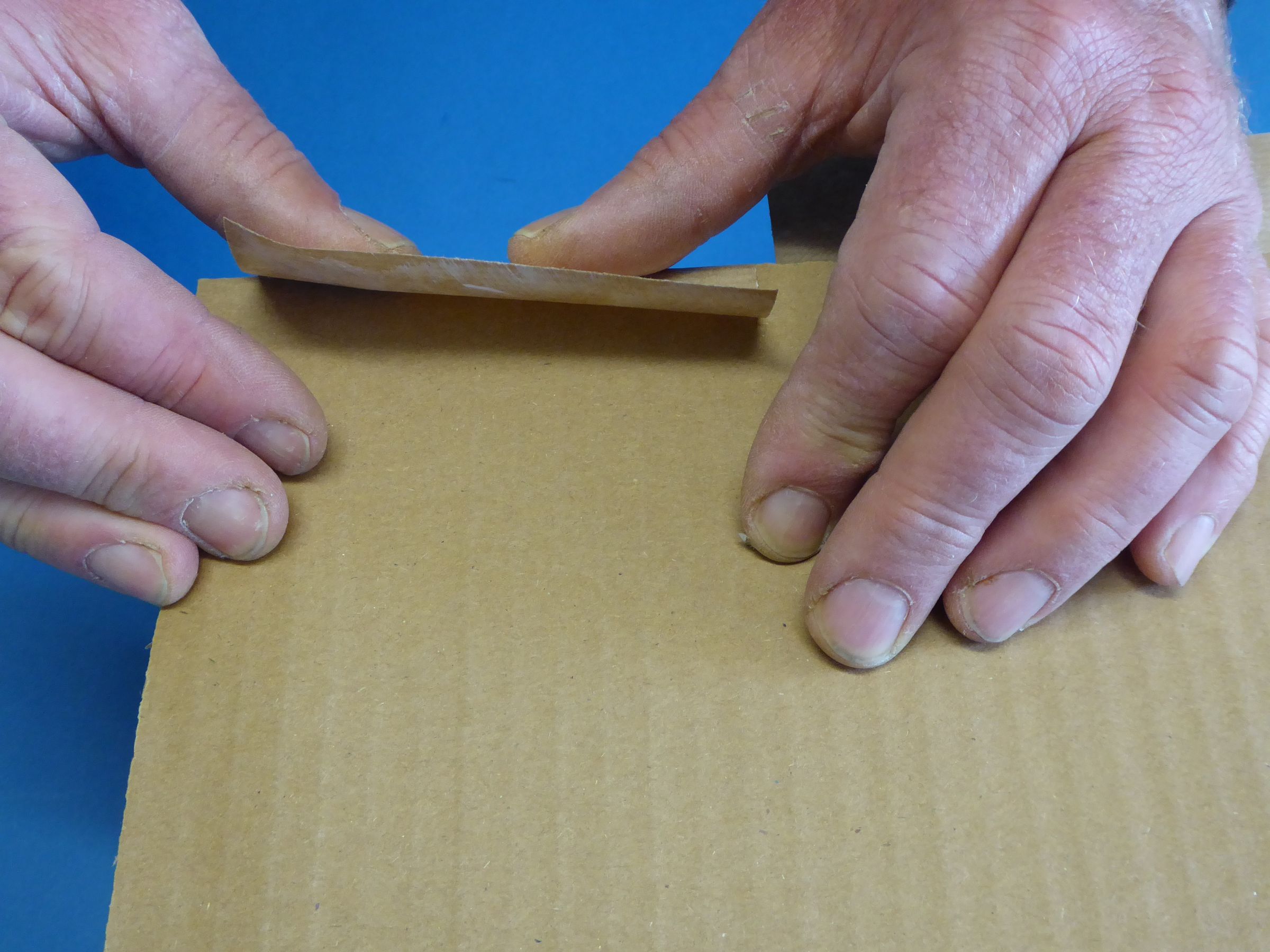 The Magic Chicken Cardboard Box : 5 Steps (with Pictures) - Instructables