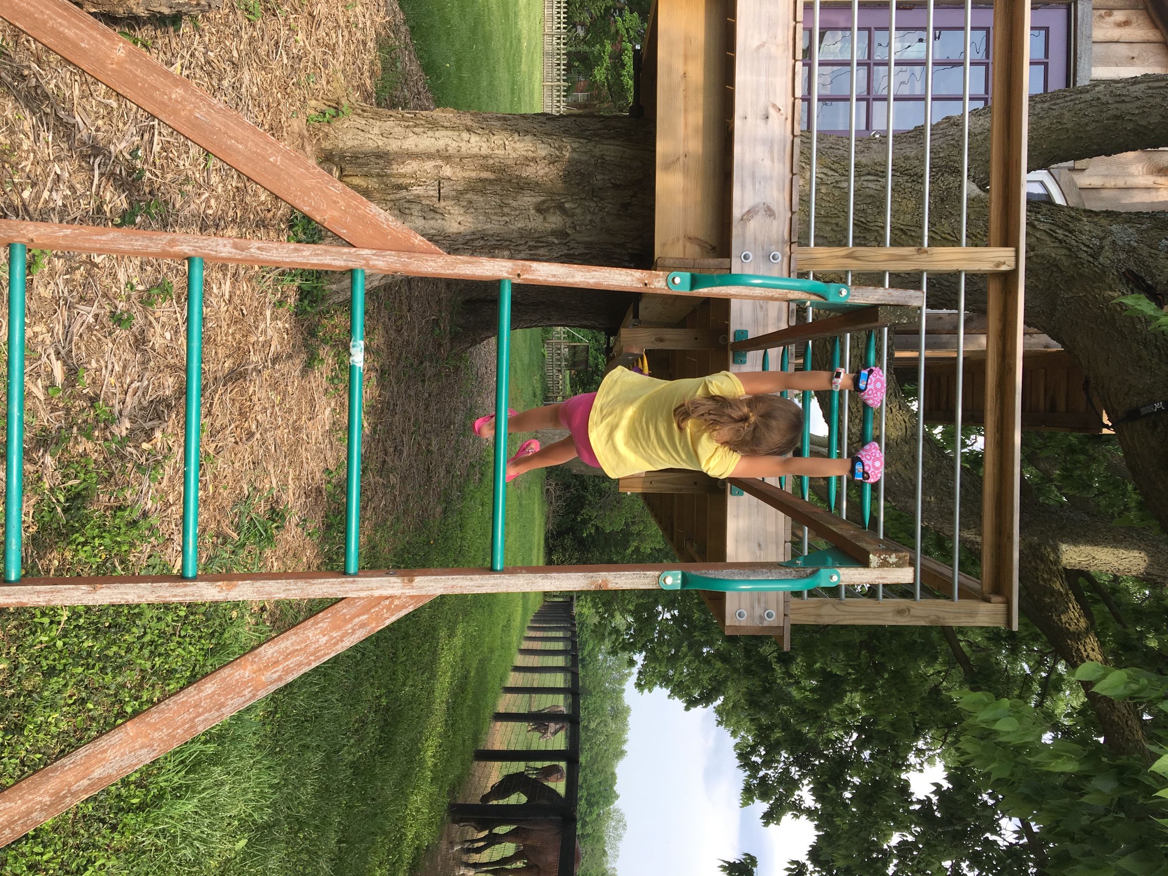 Adjustable Monkey Bars : 6 Steps (with Pictures) - Instructables