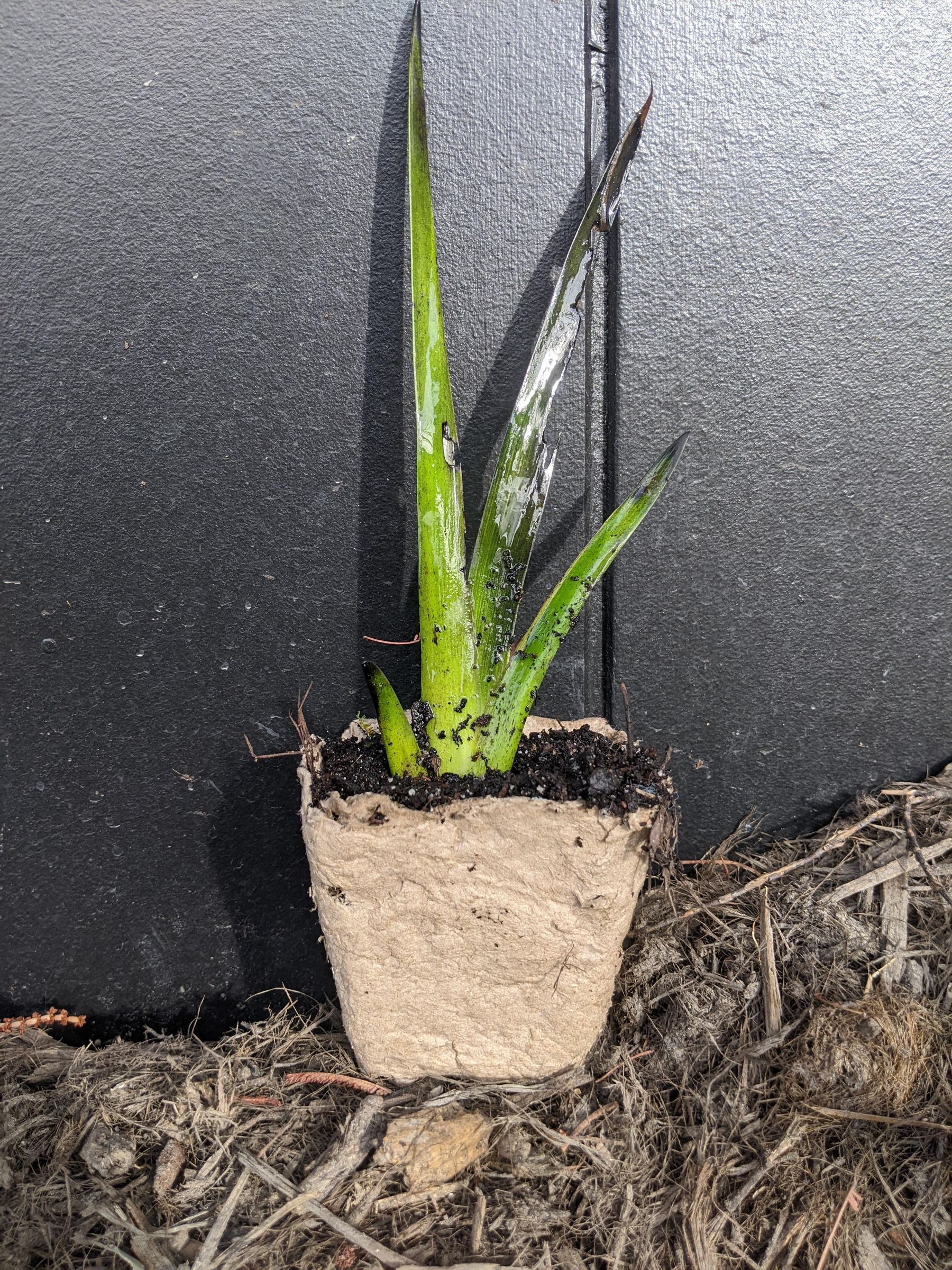 Paper Pulp Pot Mould : 8 Steps (with Pictures) - Instructables