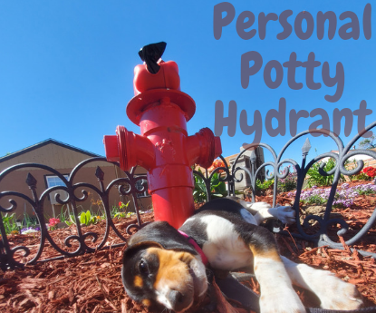 Backyard Fire Hydrant : 8 Steps (with Pictures) - Instructables
