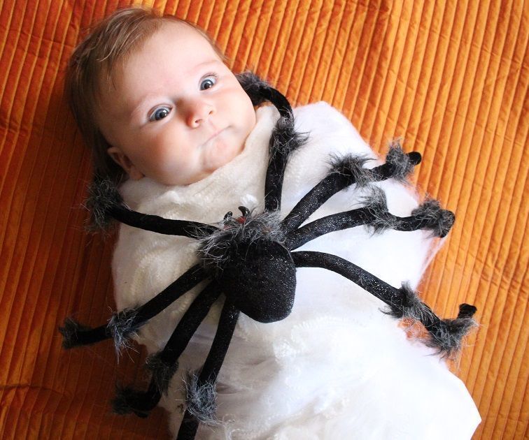 Spider Attack (with Pictures) - Instructables