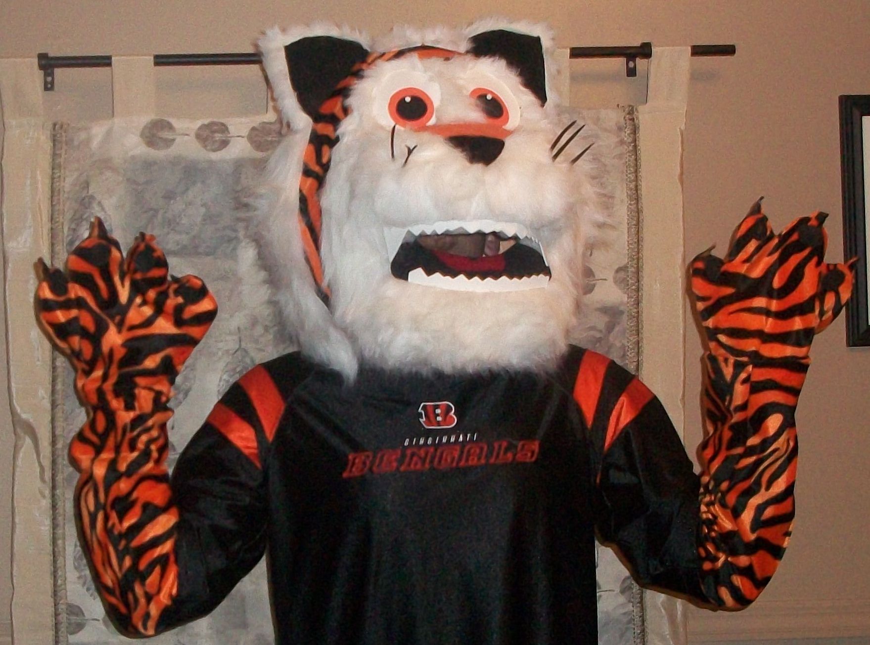 DIY Homemade Cincinnati Bengals Tiger Mascot "Who Dey" : 6 Steps (with ...