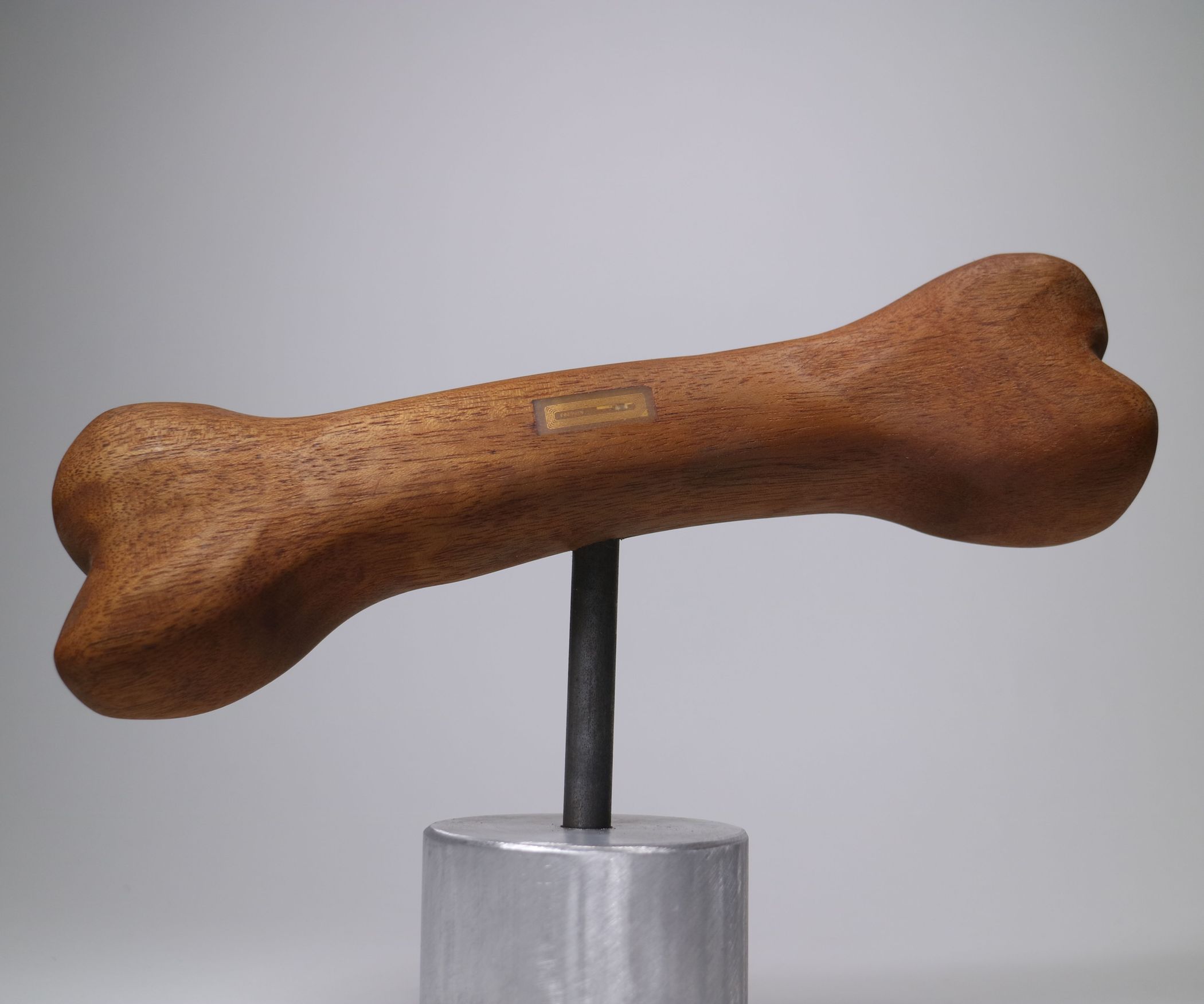 Pier 9: Smart Bone Fetch Finder™ : 4 Steps (with Pictures) - Instructables