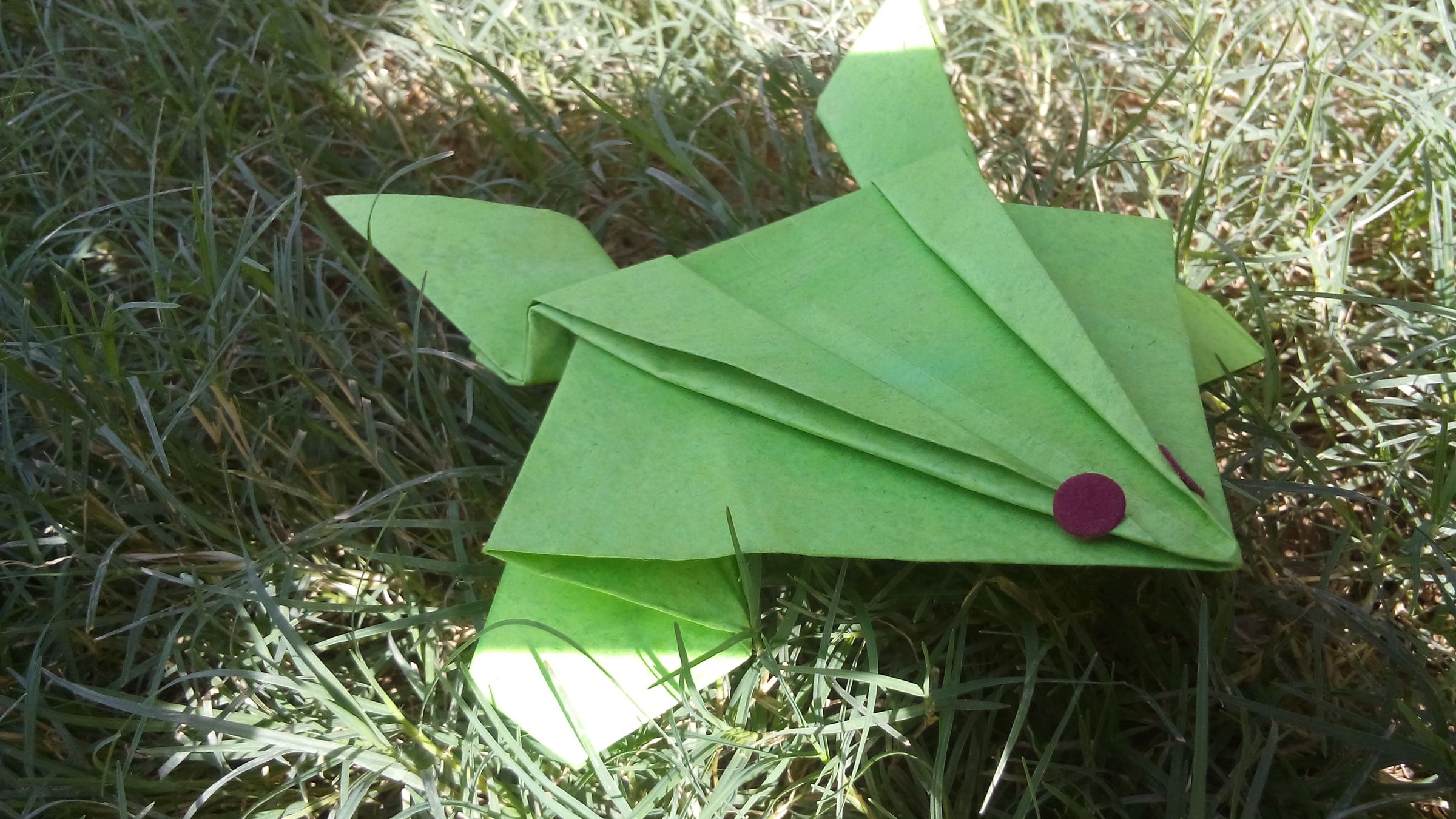 DIY Jumping Frog in 3 Minutes : 6 Steps - Instructables