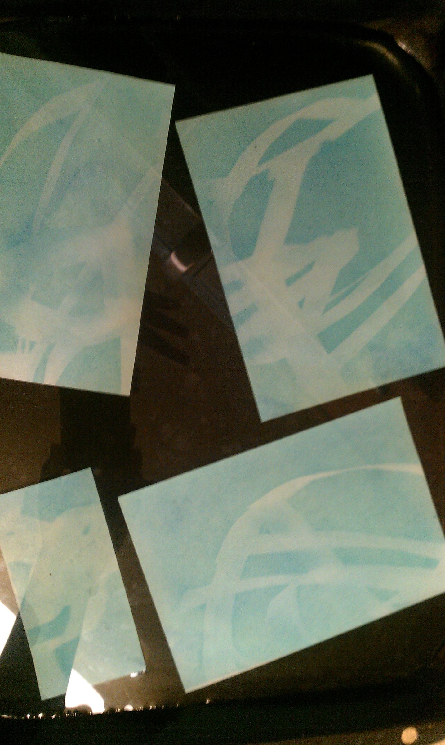 Capturing Translucent Shadows With Cyanotype : 8 Steps - Instructables