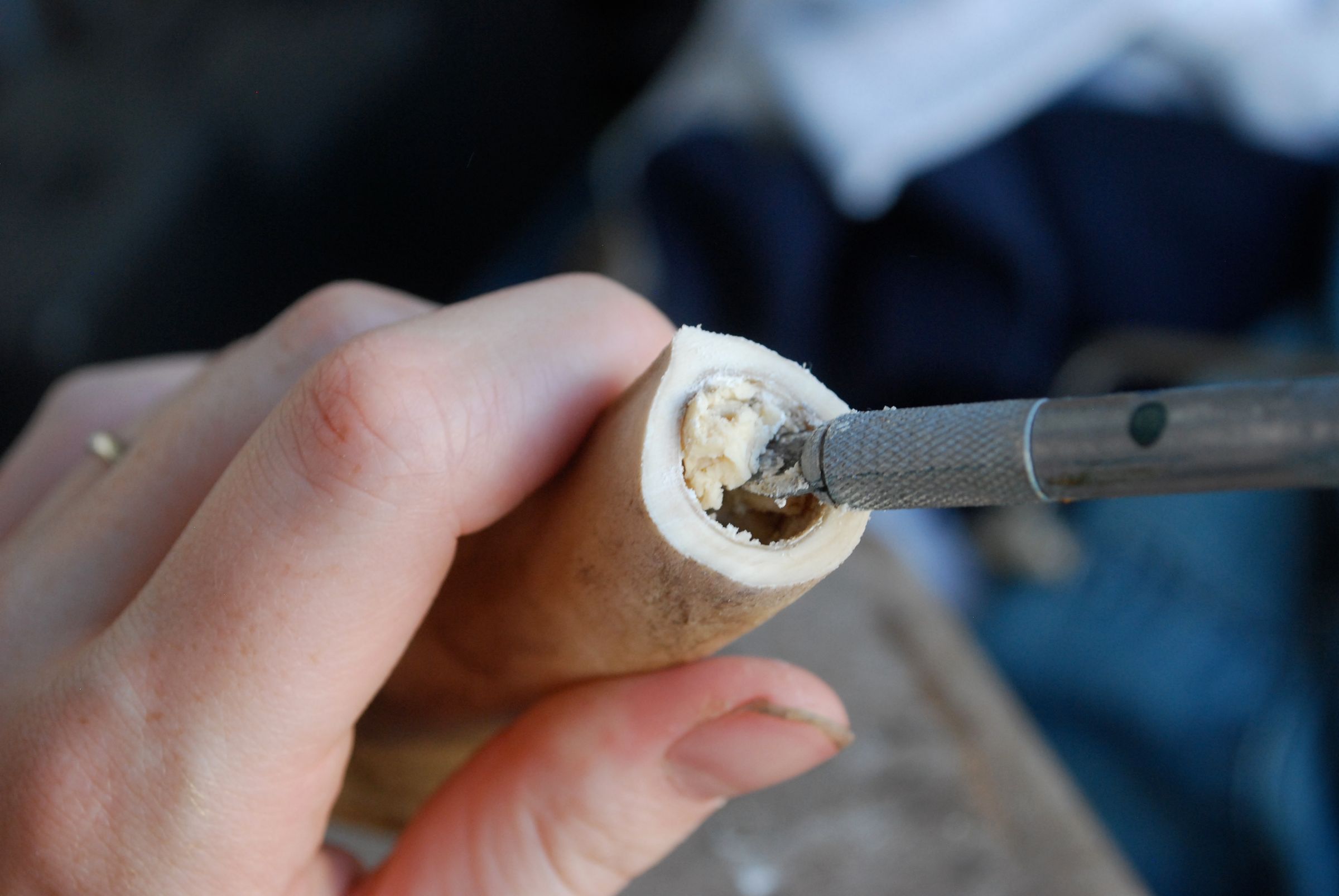 Bone Tunnel Plugs for Your Super-Sweet Gauged Ears : 5 Steps (with ...