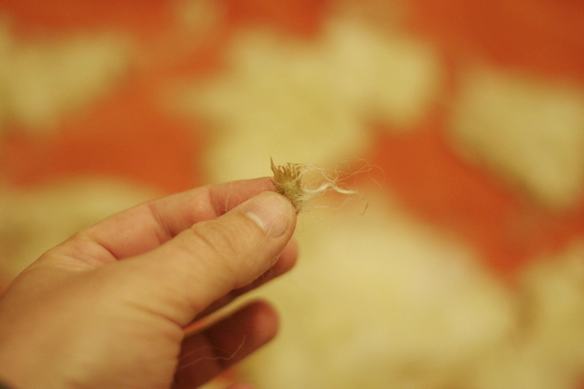 Wash Wool or Other Fibers for Spinning. : 5 Steps (with Pictures ...