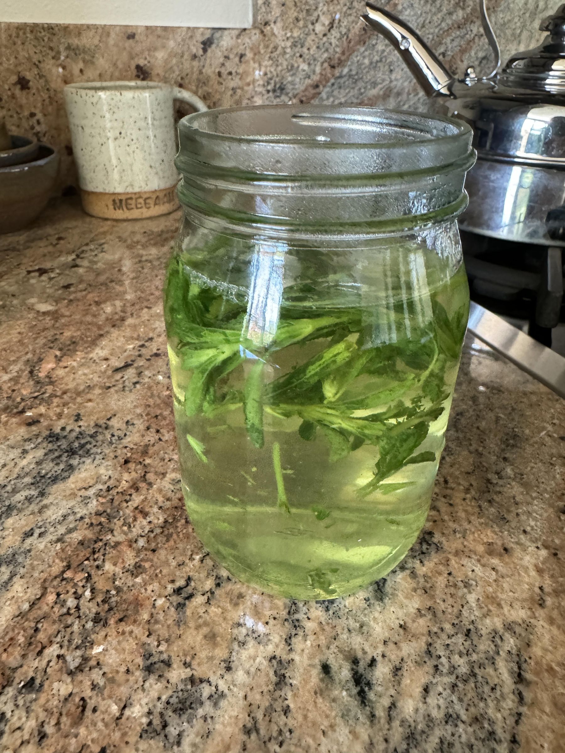 Amazing Sweet Leaf Herb - 100% Natural & Healthy Zero Calorie Sweetener ...