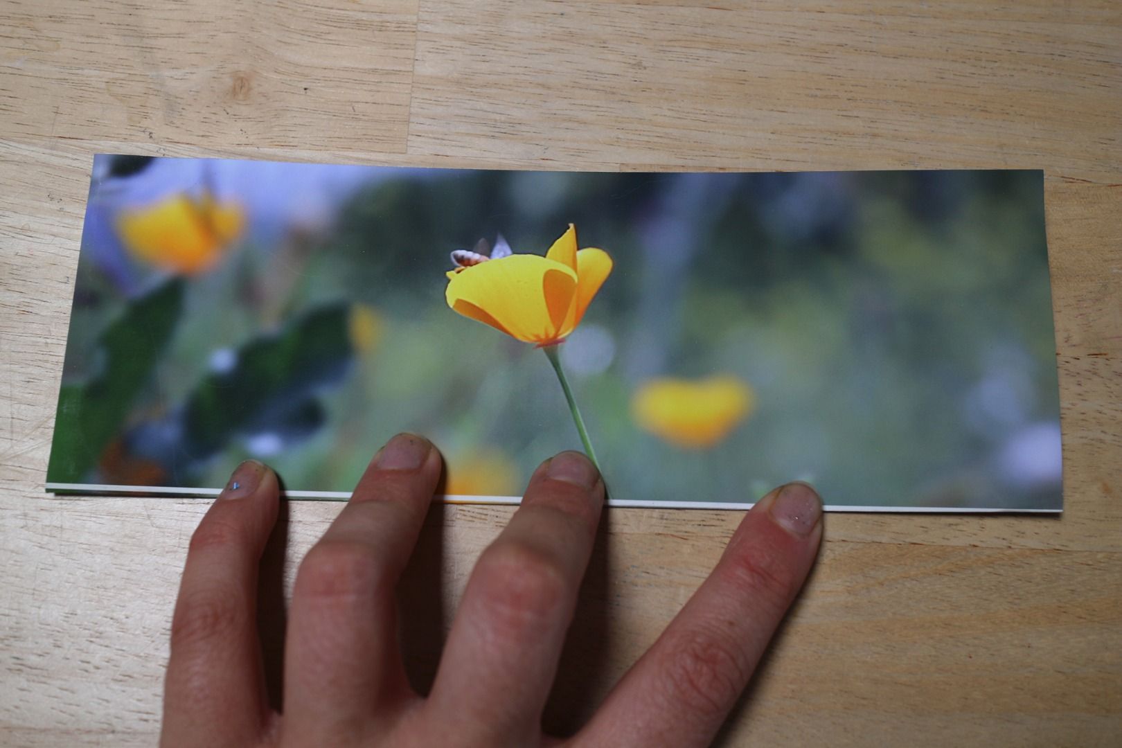 Movie to Mutoscope : 20 Steps (with Pictures) - Instructables