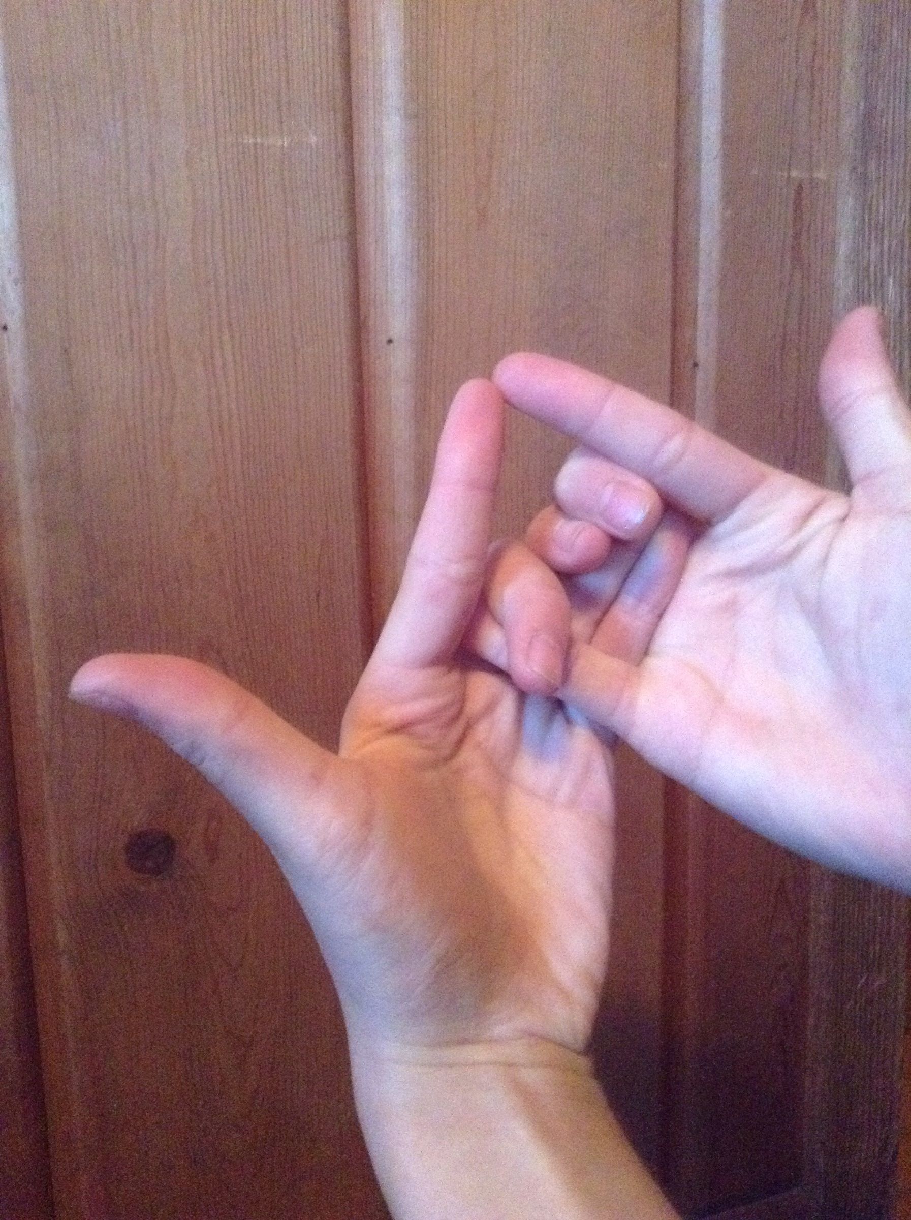 Snake Hands! : 9 Steps - Instructables