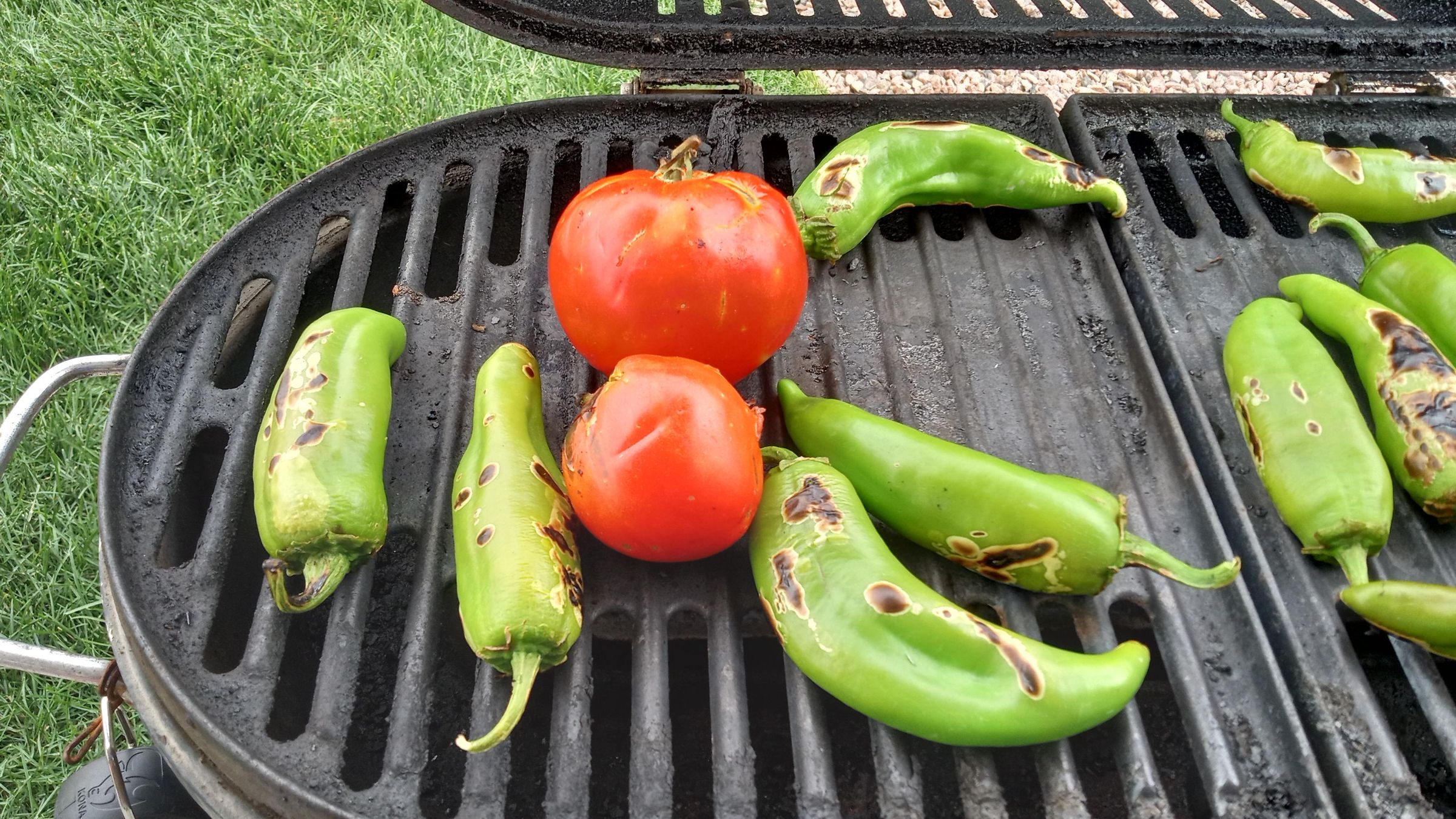 Roasting Green Chiles on Your Grill : 3 Steps - Instructables
