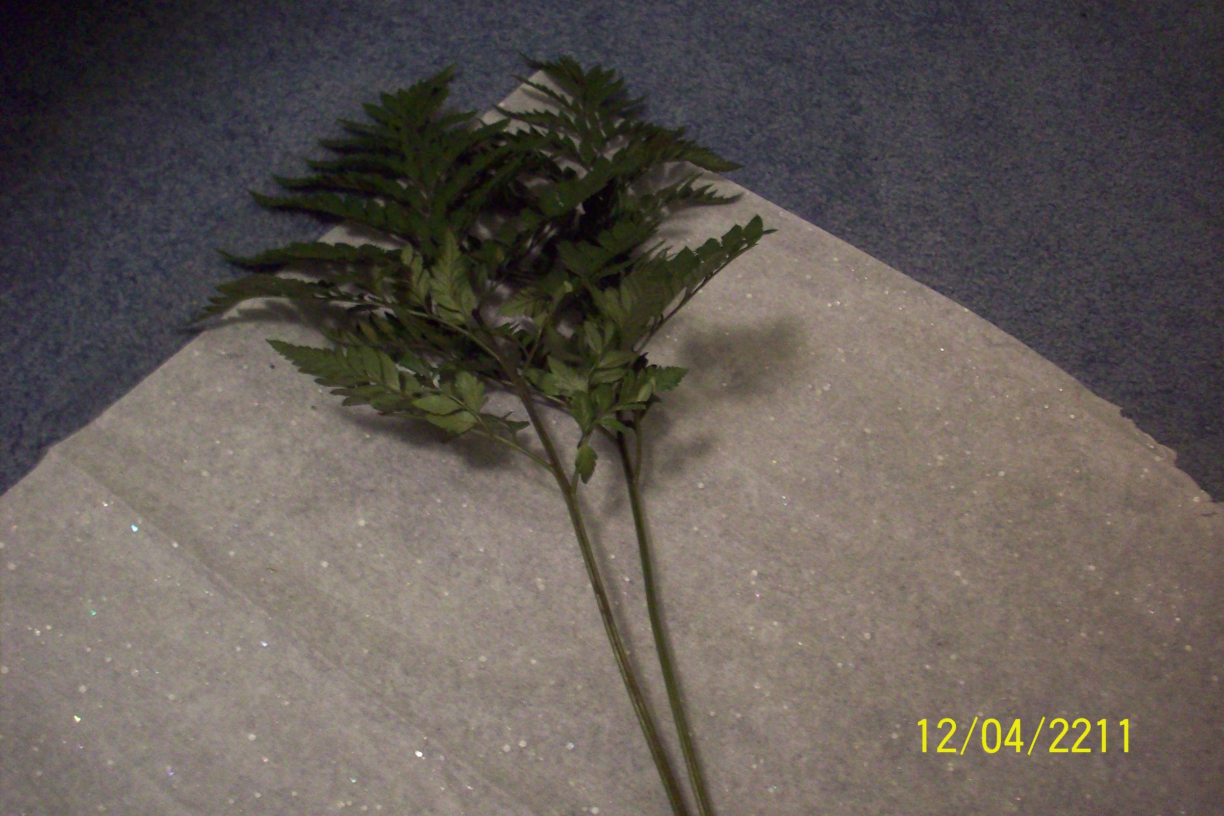 How to Make a Flower Wrap the Right Way. : 6 Steps - Instructables