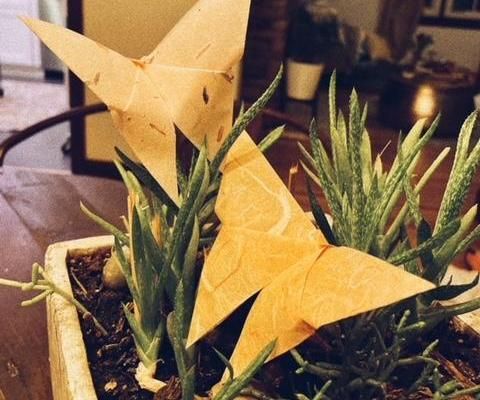 Origami Butterfly 🦋 : 13 Steps - Instructables