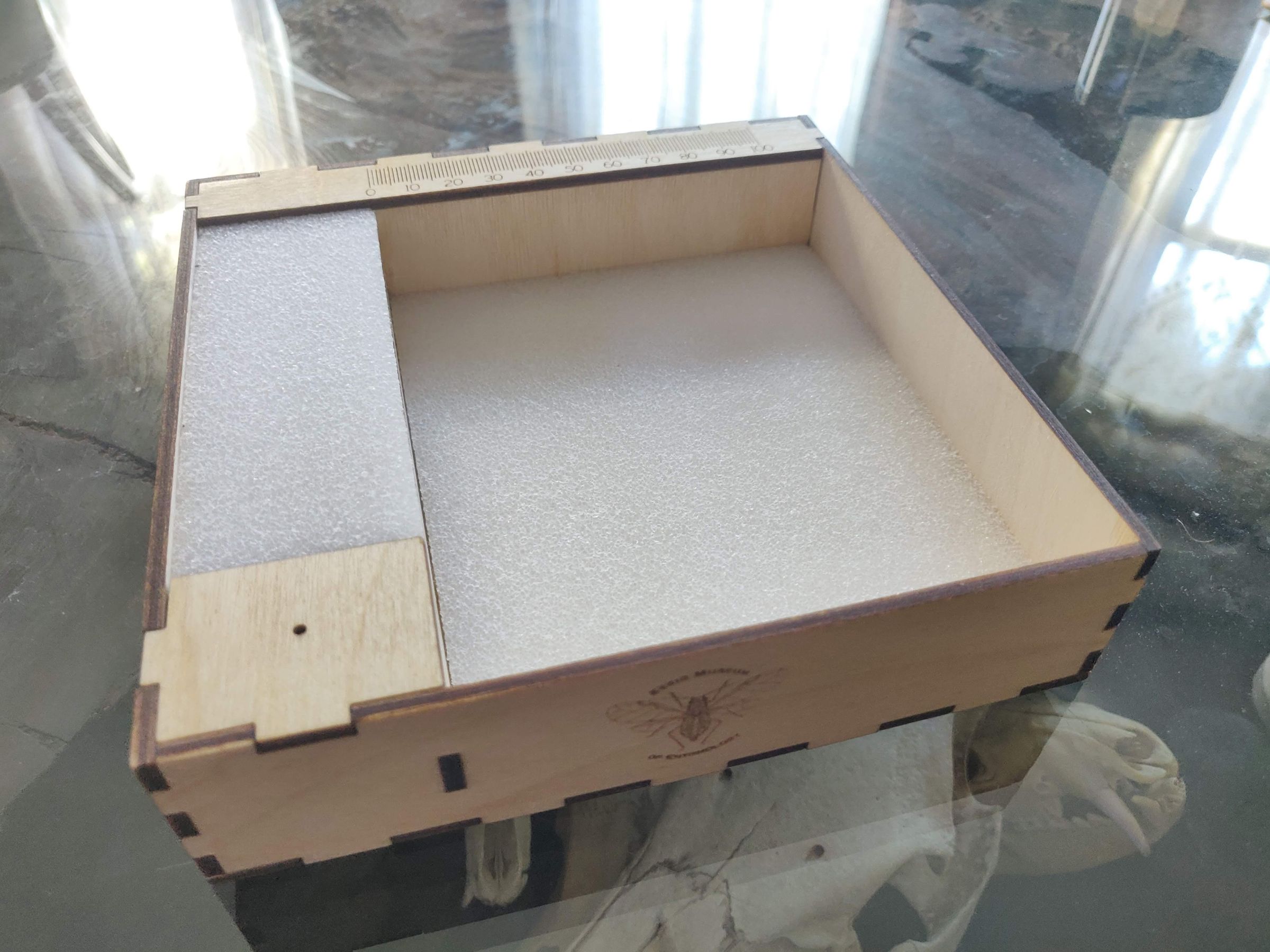 Entomology Photography Tray : 4 Steps (with Pictures) - Instructables