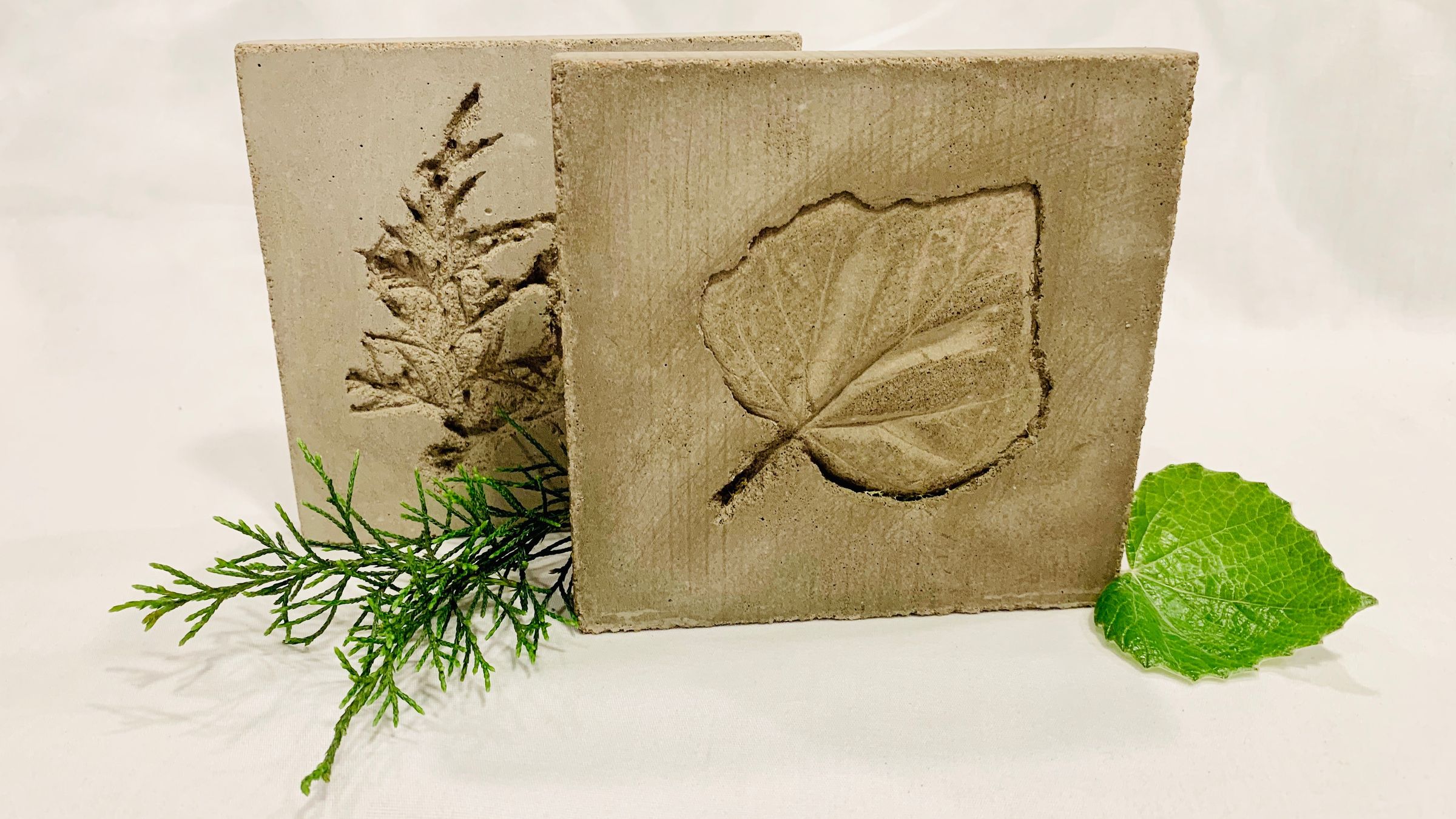 DIY Leaf Cast : 7 Steps - Instructables